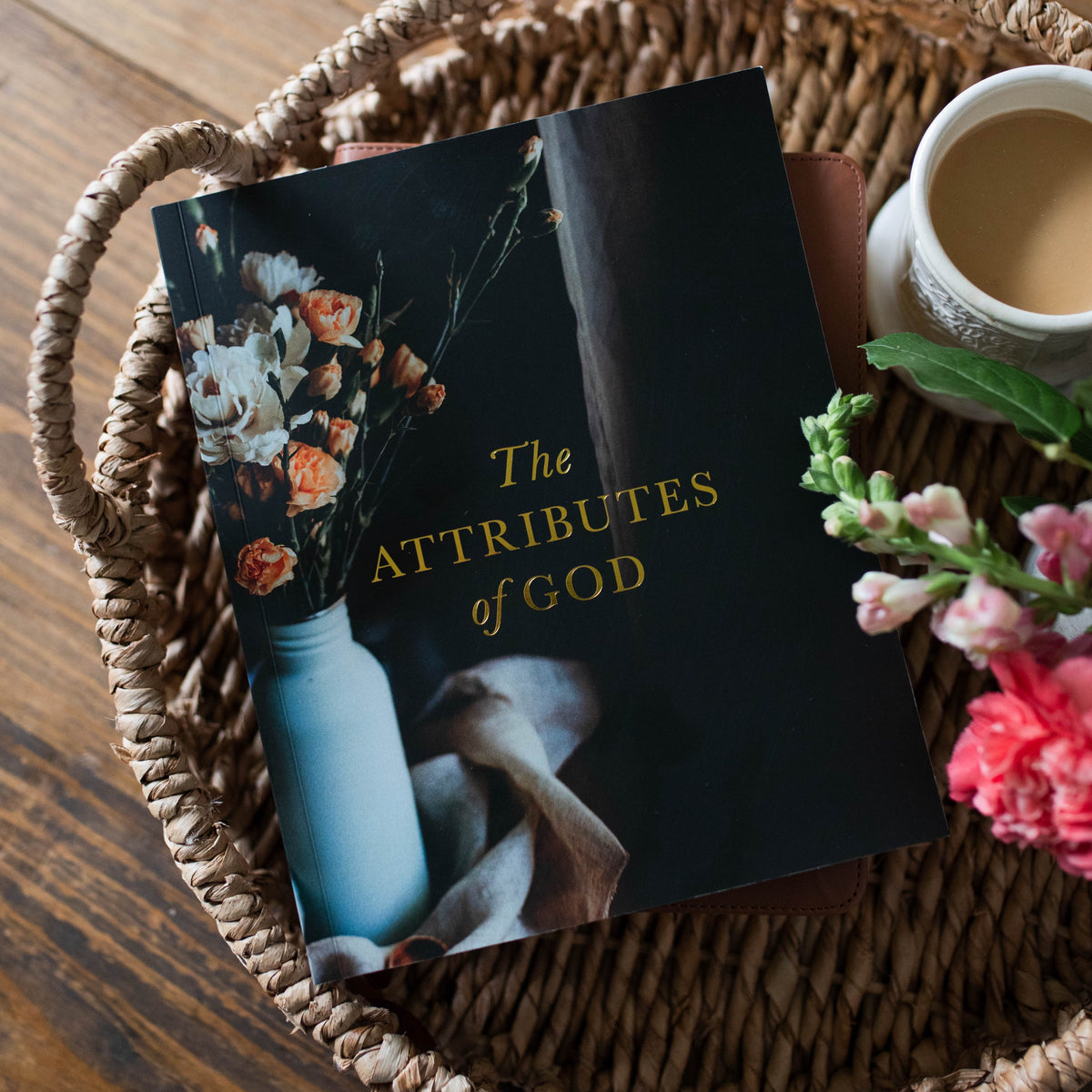 The Attributes of God Bible Study | TDGC – The Daily Grace Co.