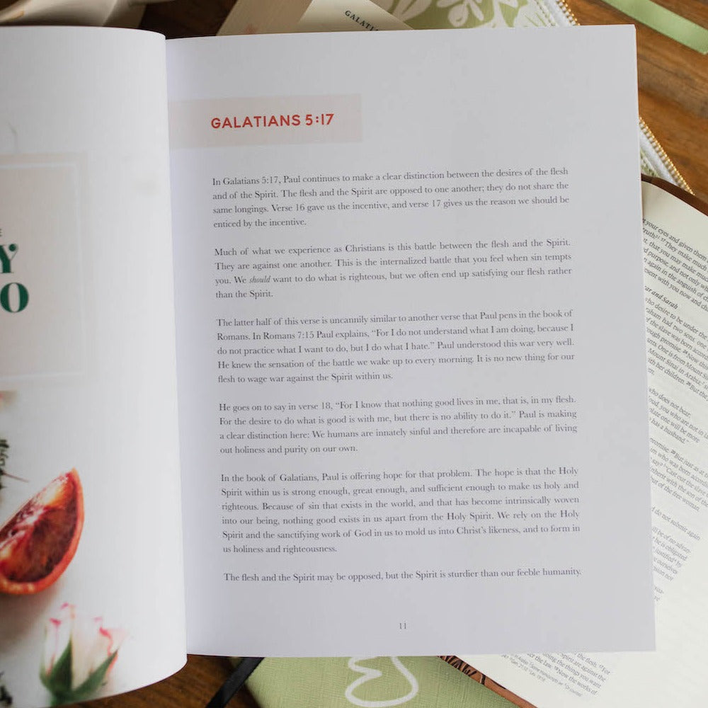 The Fruit of the Spirit Bible Study | TDGC – The Daily Grace Co.