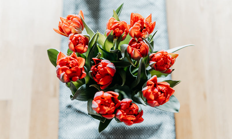 Worship All Week – The Daily Grace Co.