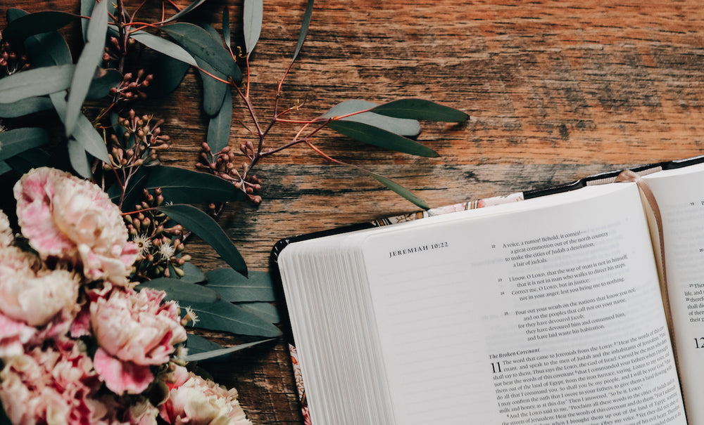 The Daily Grace Blog – The Daily Grace Co.