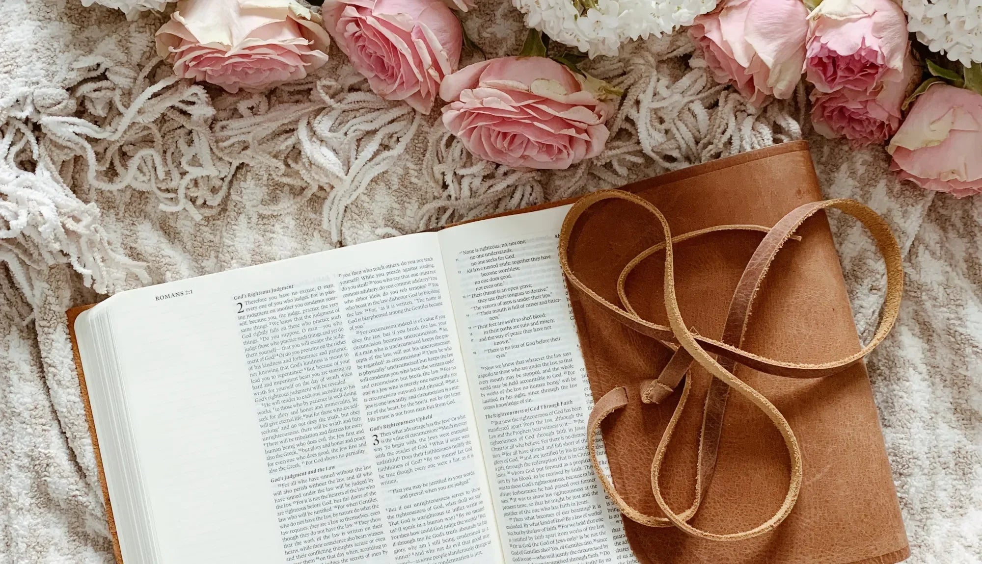 June Bible Study and Book Picks | TDGC – The Daily Grace Co.