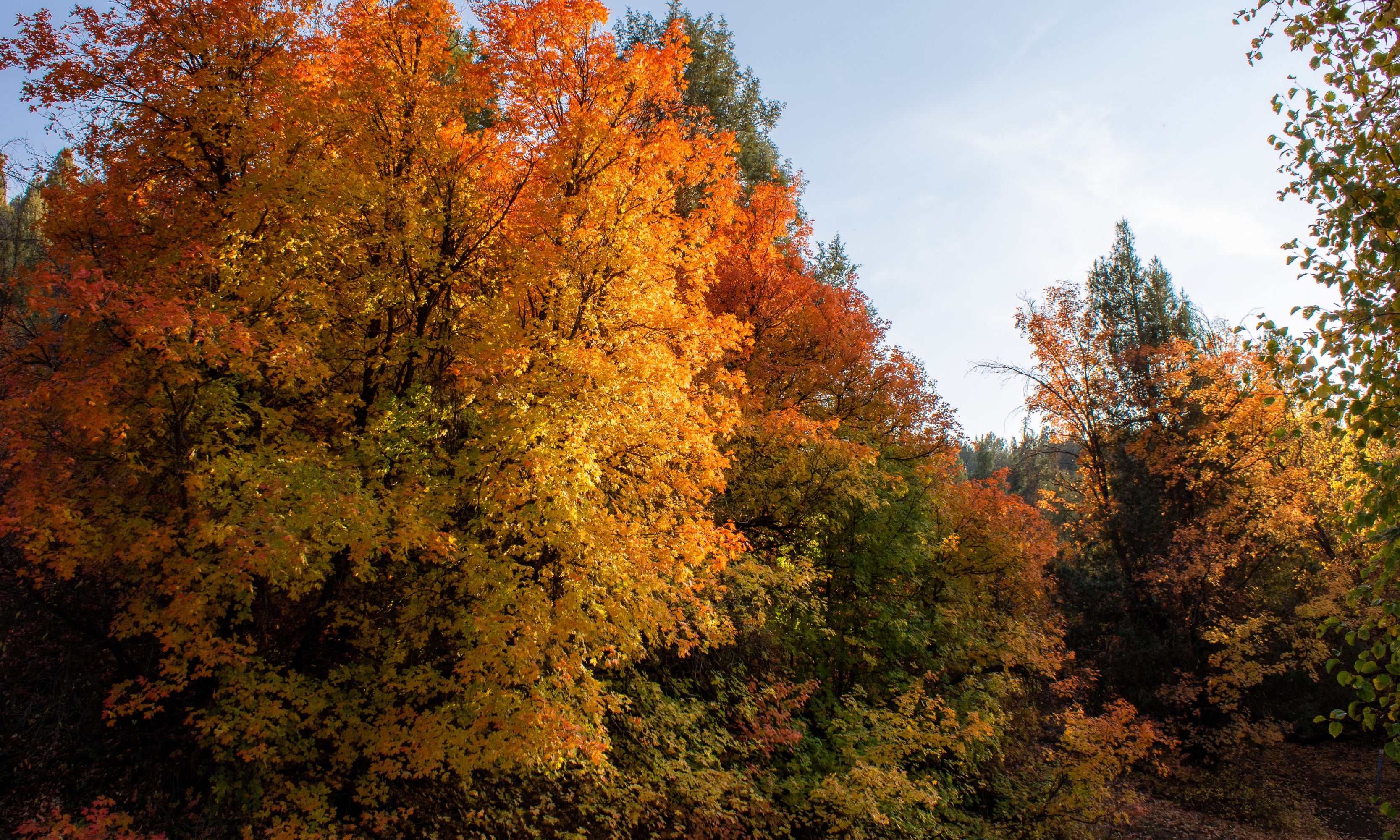 4 Ways to Maintain Spiritual Disciplines in Seasons of Change | TDGC ...