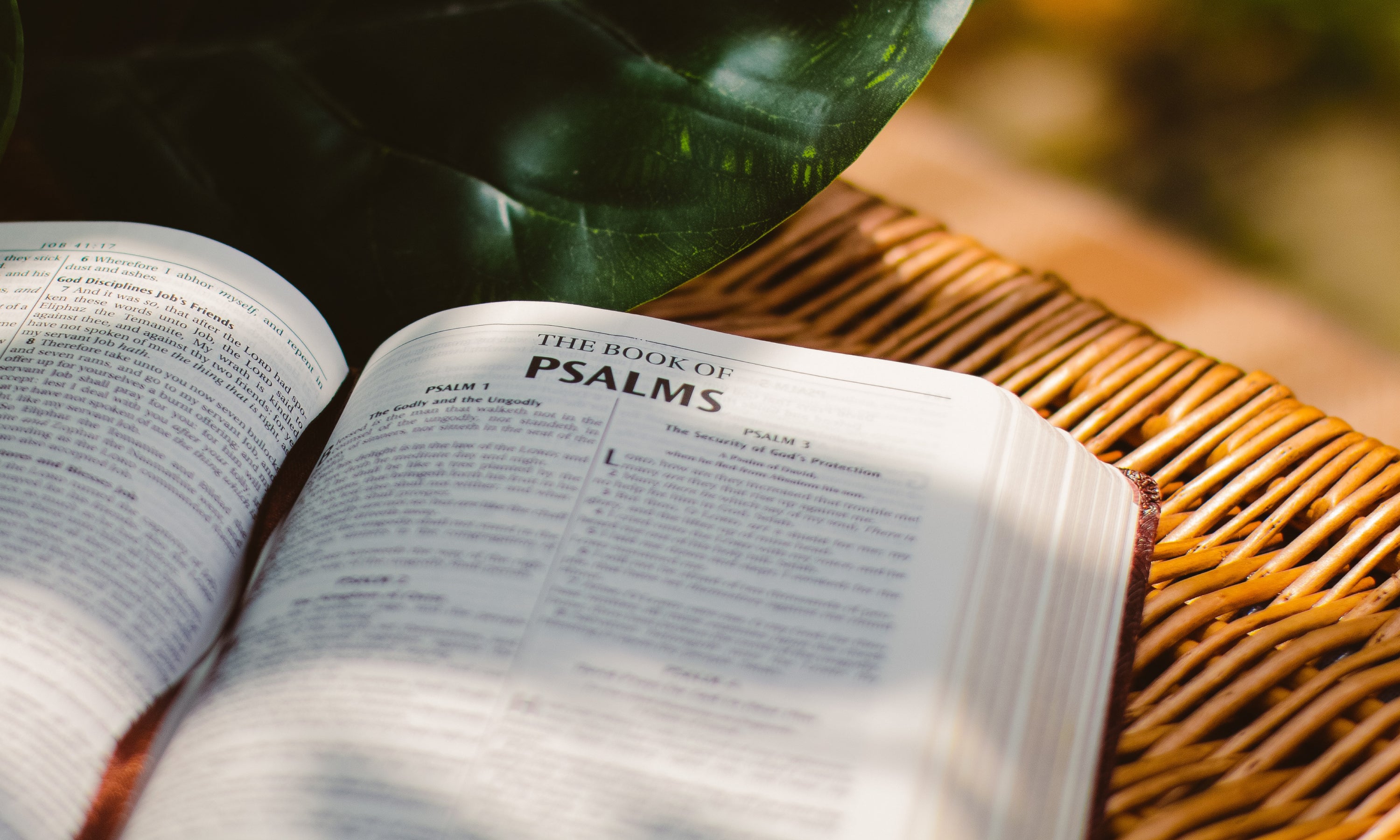 A Poem Based on Psalm 73 | TDGC – The Daily Grace Co.