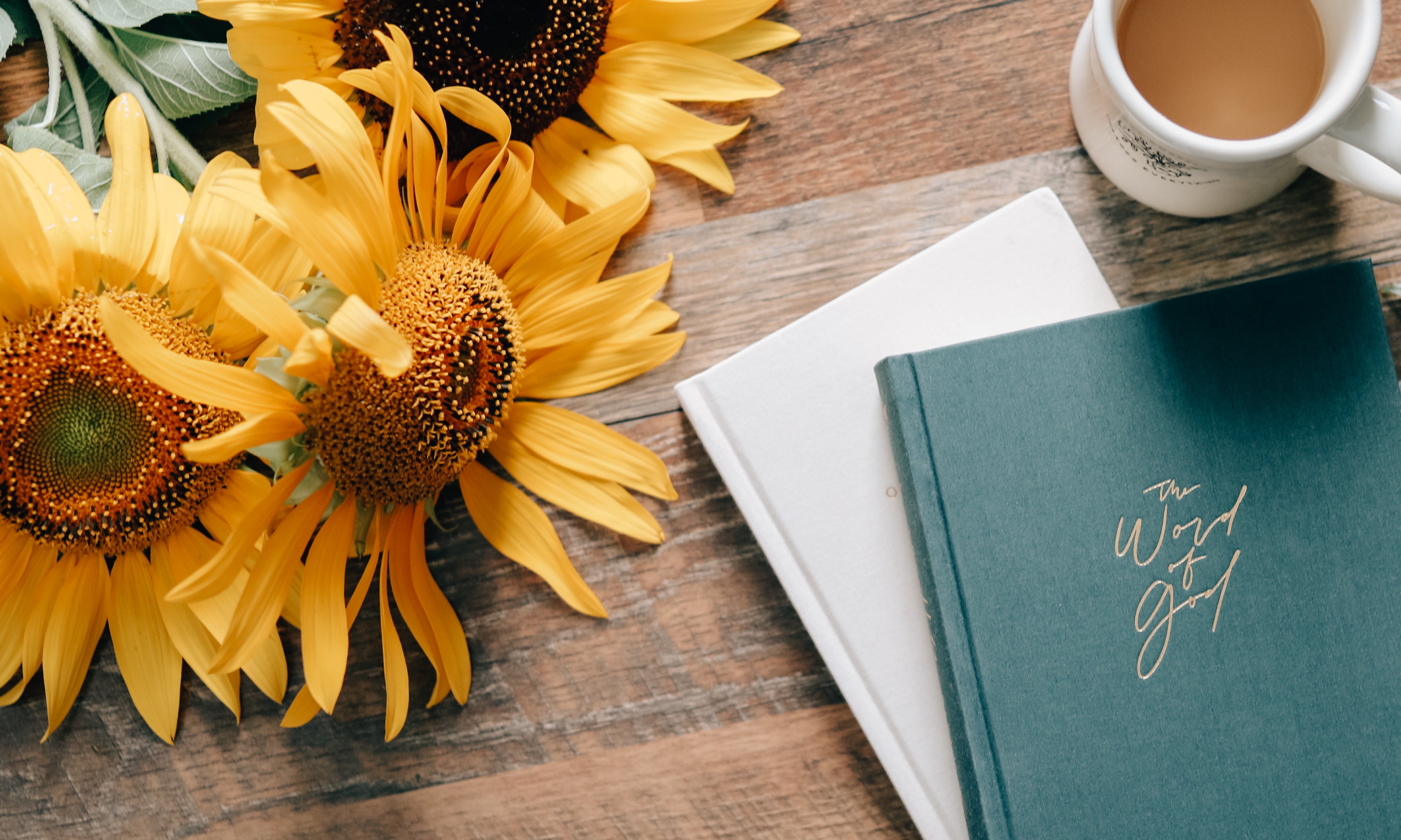 3 Truths to Remember When You Feel Insecure | TDGC – The Daily Grace Co.