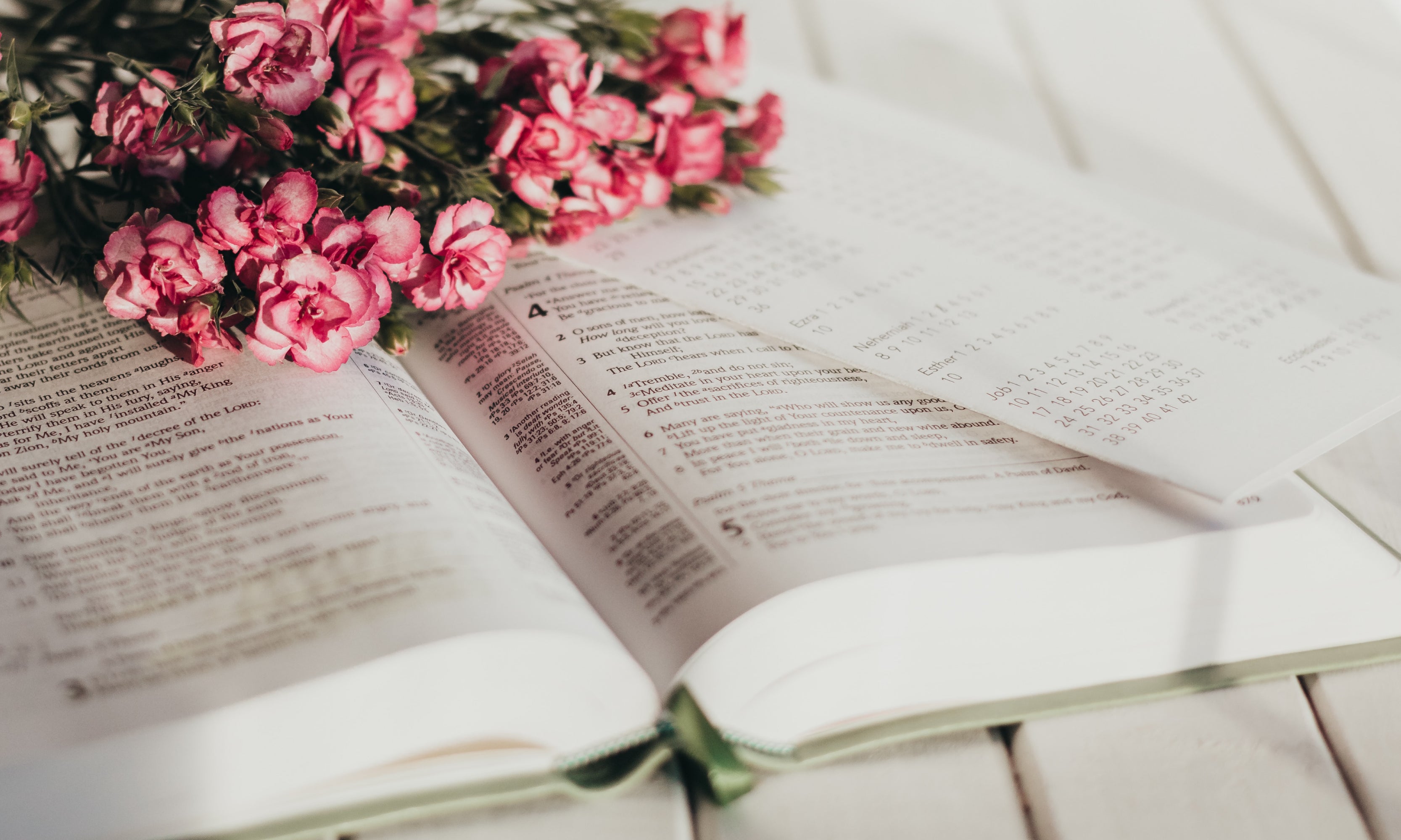 How to Read the Bible: 3 Suggestions for New Believers | TDGC – The ...