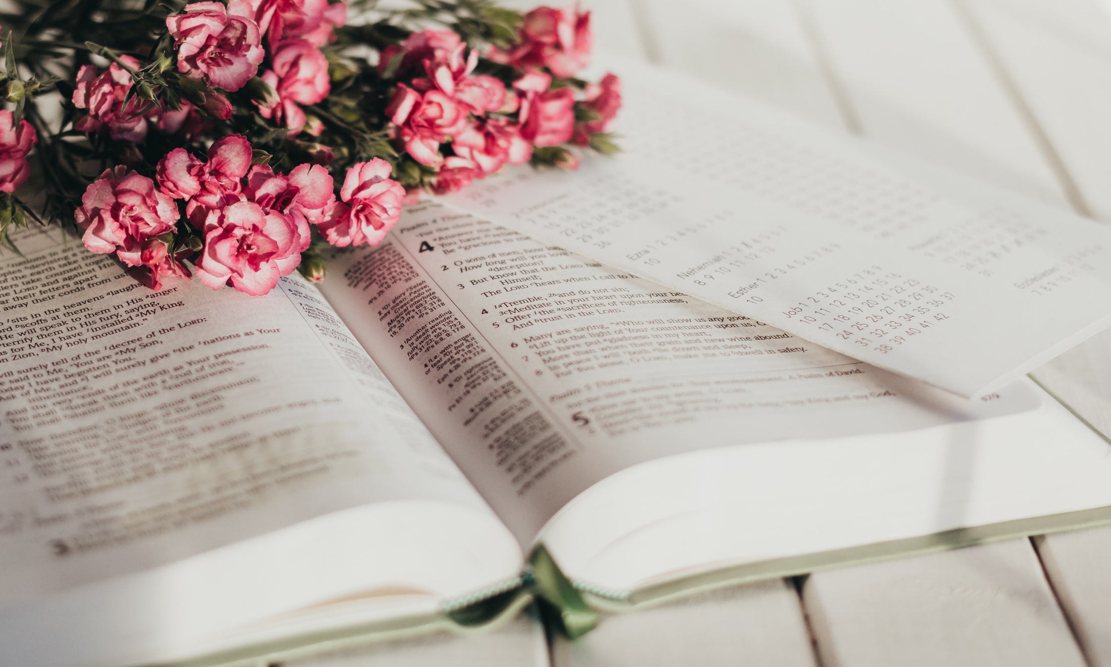 How to Read the Bible: 3 Suggestions for New Believers | TDGC – The ...