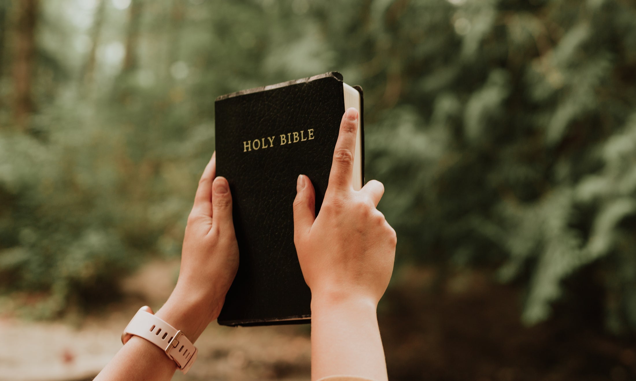 Discover Purpose by Studying the Book of Ecclesiastes | TDGC – The ...