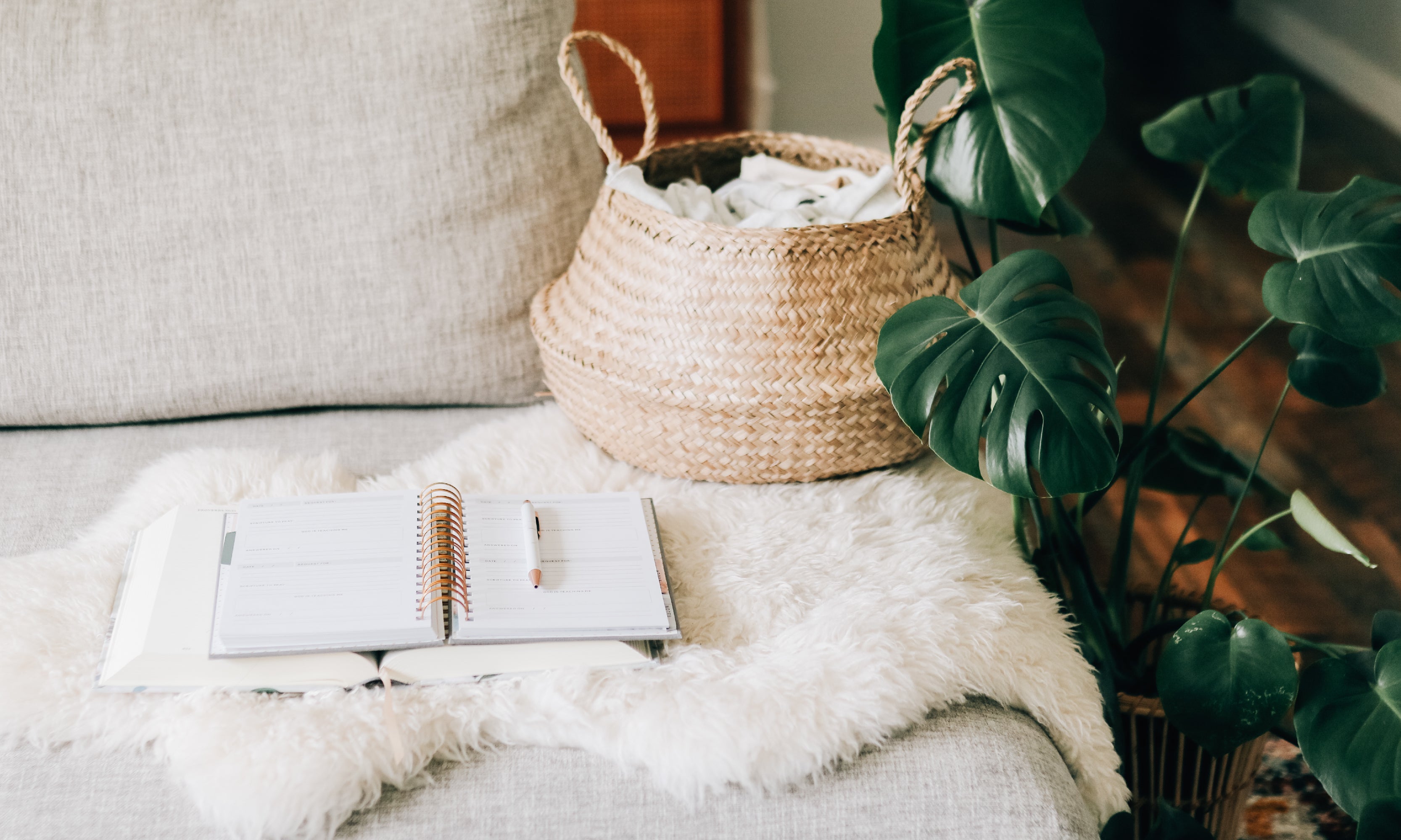 The Daily Grace Blog – The Daily Grace Co.