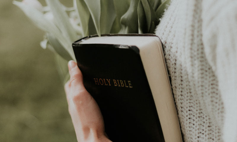 Knowing God's Word from the Inside and Out – The Daily Grace Co.