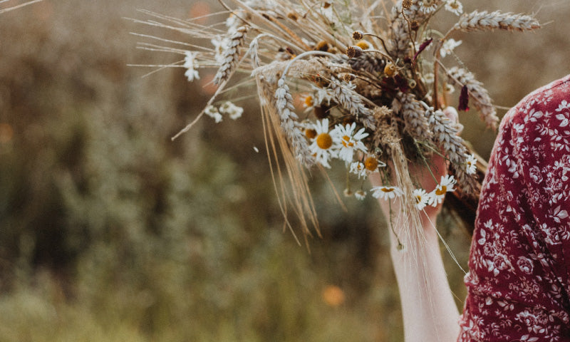 A Call to Remember – The Daily Grace Co.