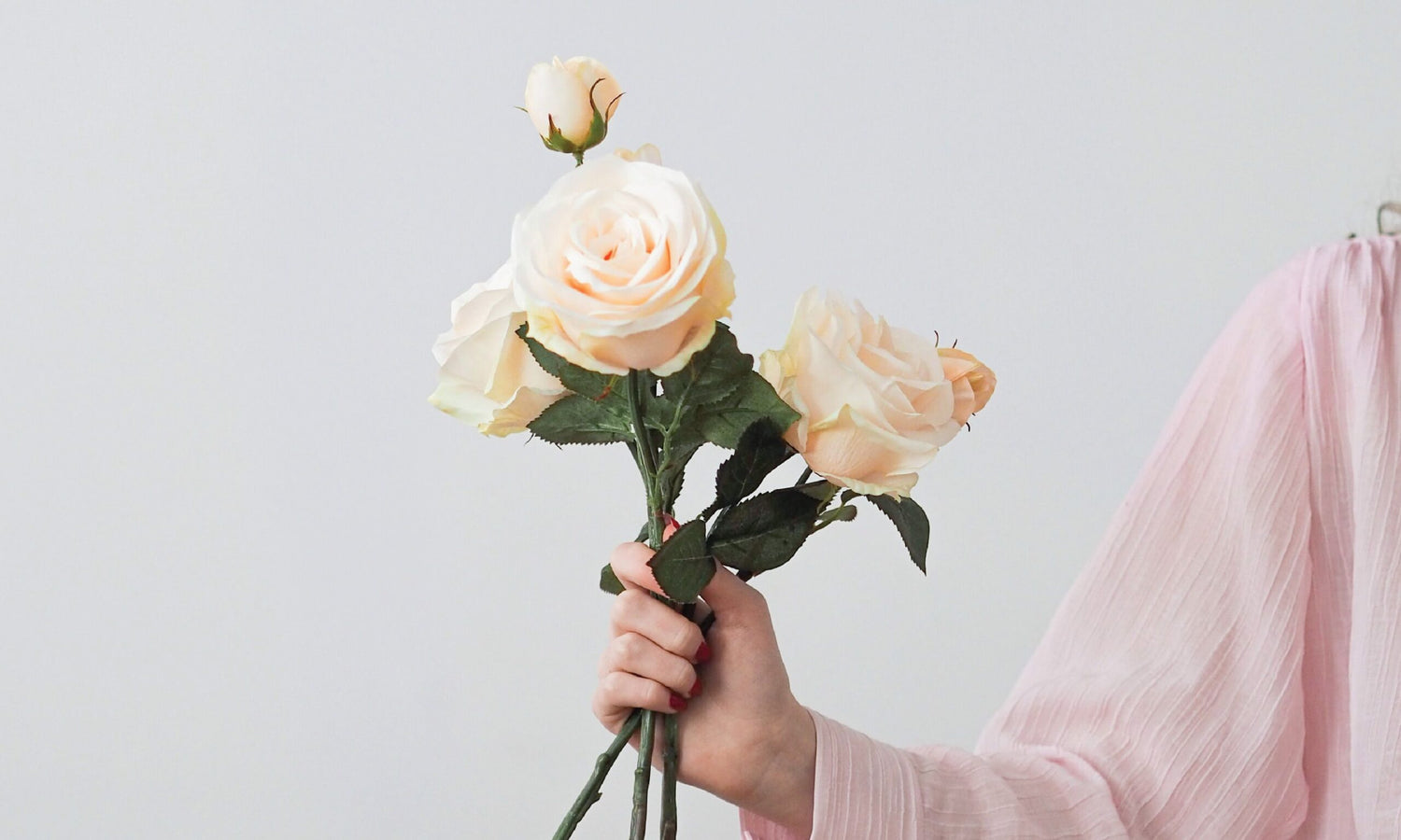 Creation's Song – The Daily Grace Co.