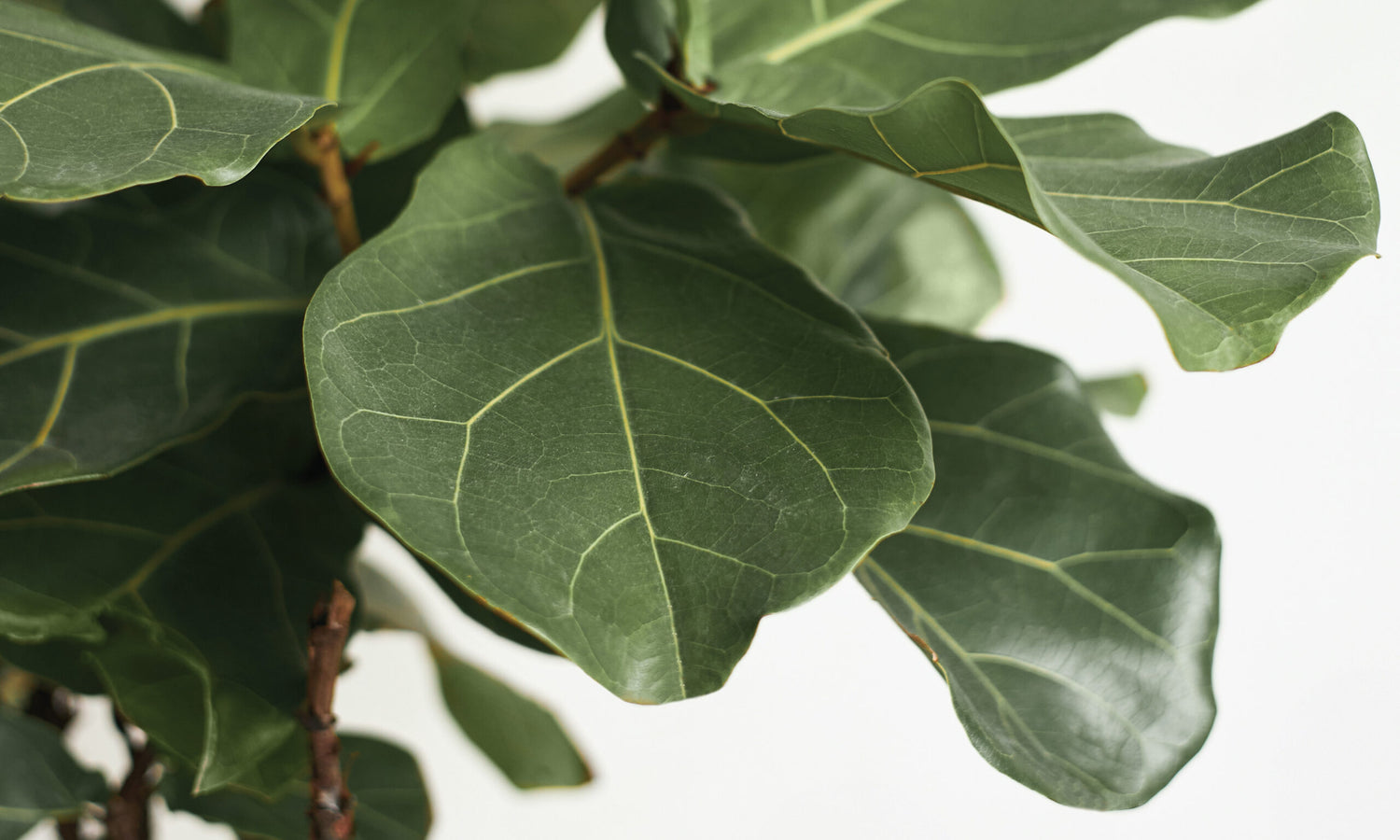 How to Defend the Faith Against Logical Fallacies, Part 2 – The Daily ...