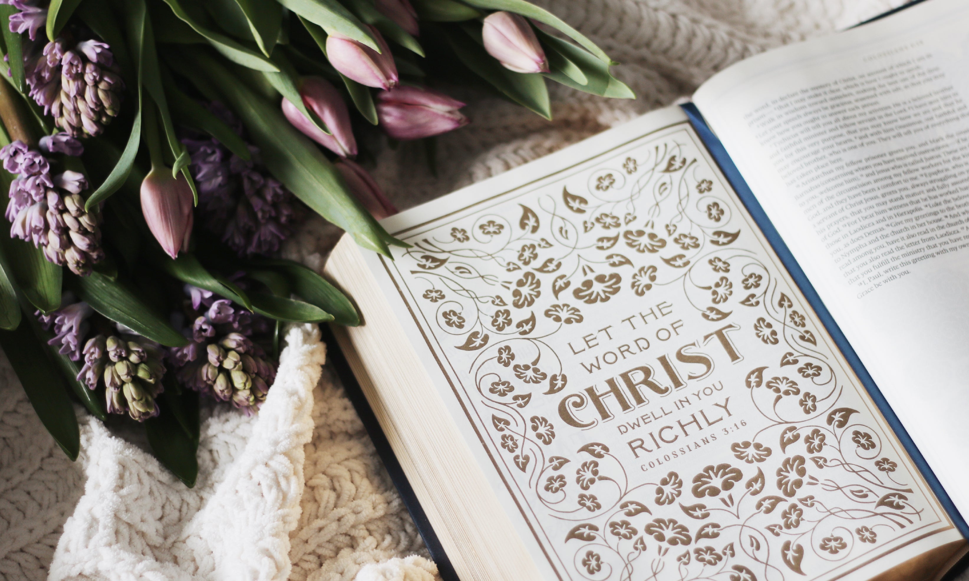 Bible Misinterpretation: How to Avoid It and Not Be Afraid of It w/Eli ...