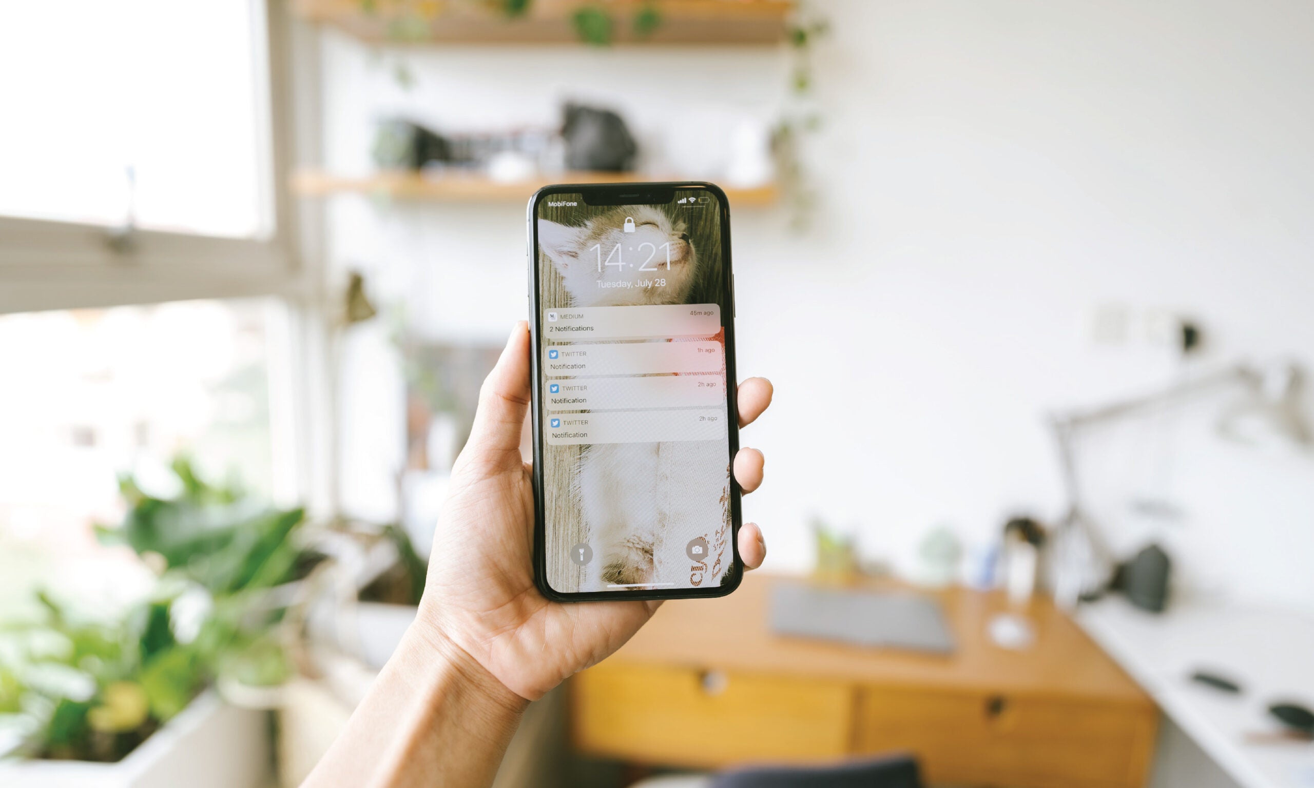 Finding Balance in a Social Media-Saturated World – The Daily Grace Co.