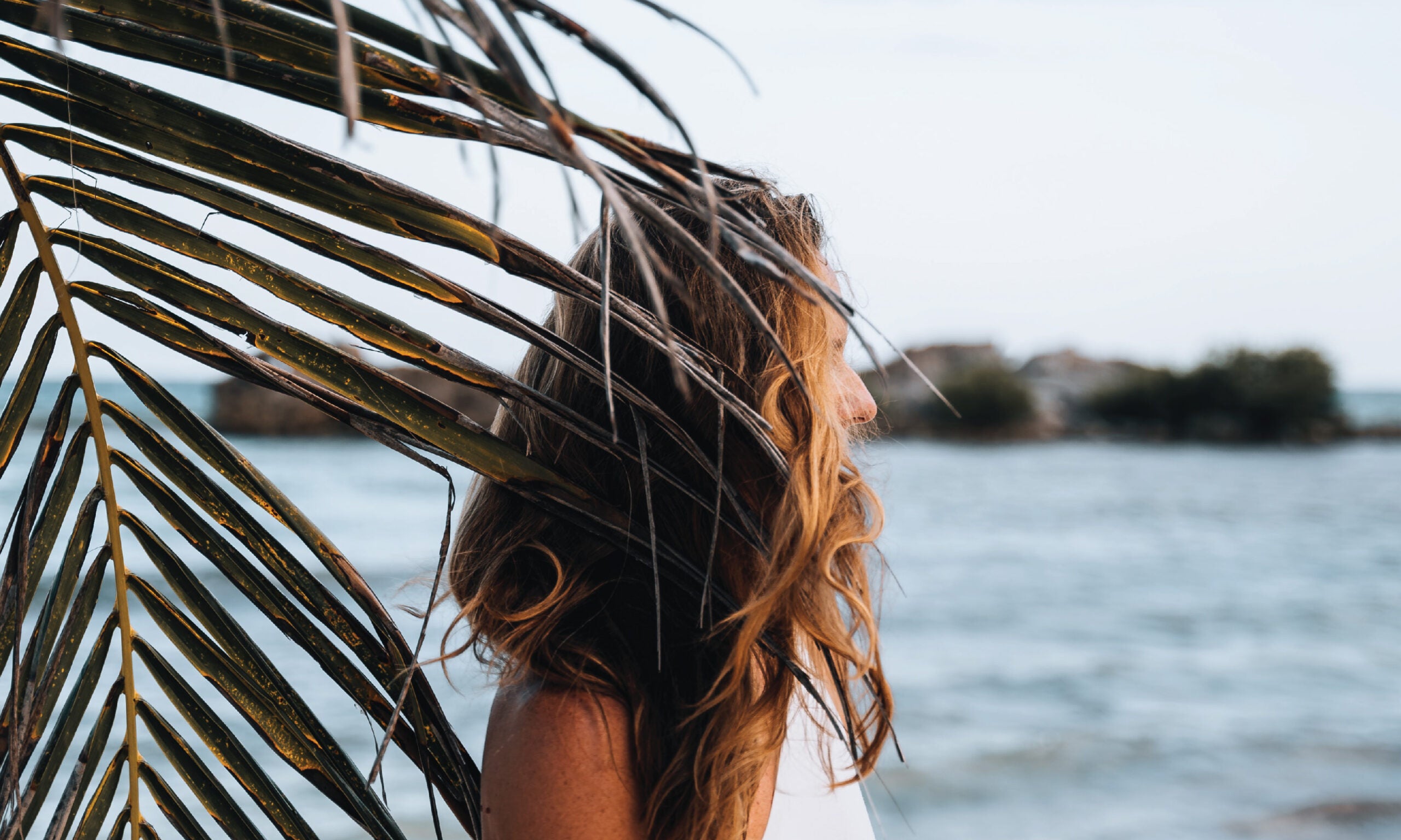 For When We Feel Like Hiding: How God meets us in our hiding places ...