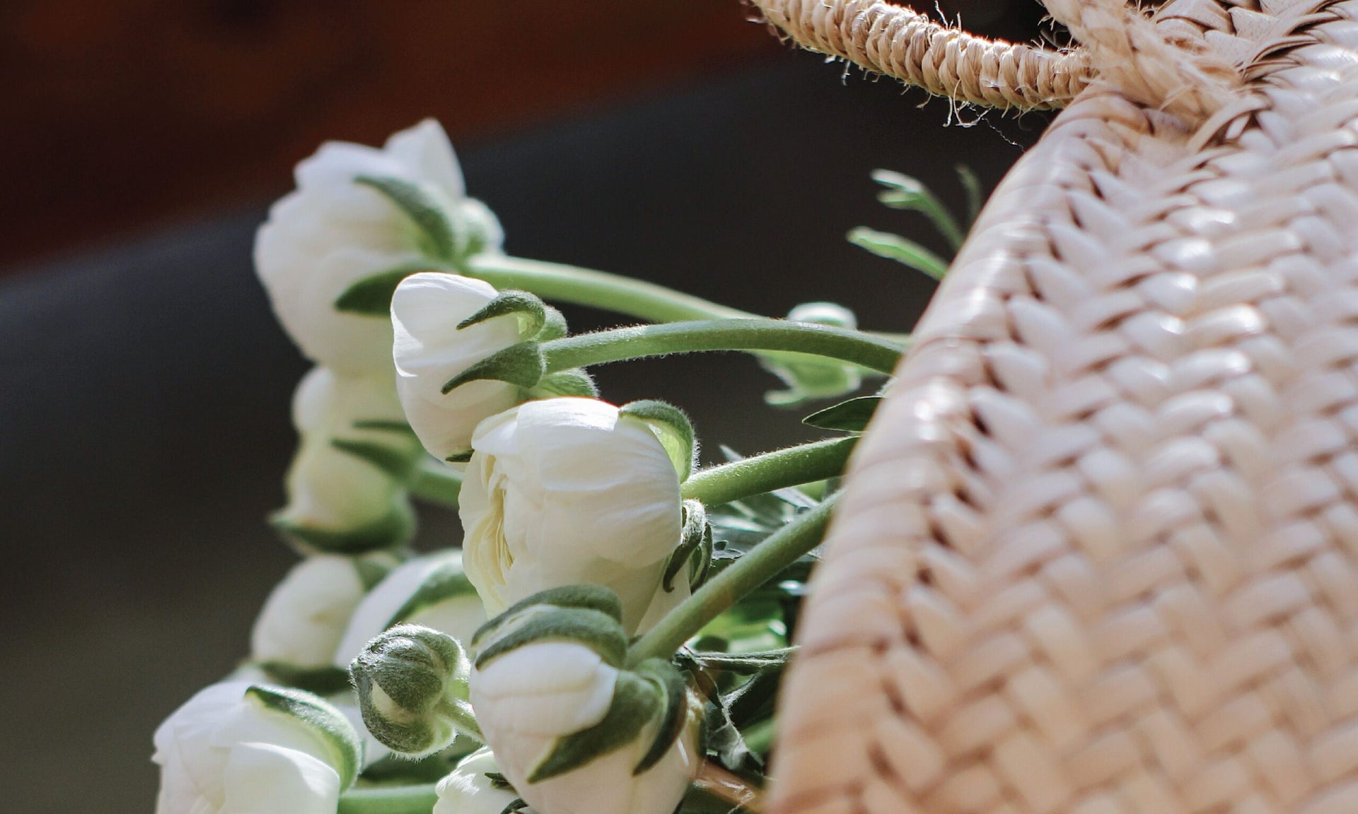 How to Make Godly Decisions – The Daily Grace Co.