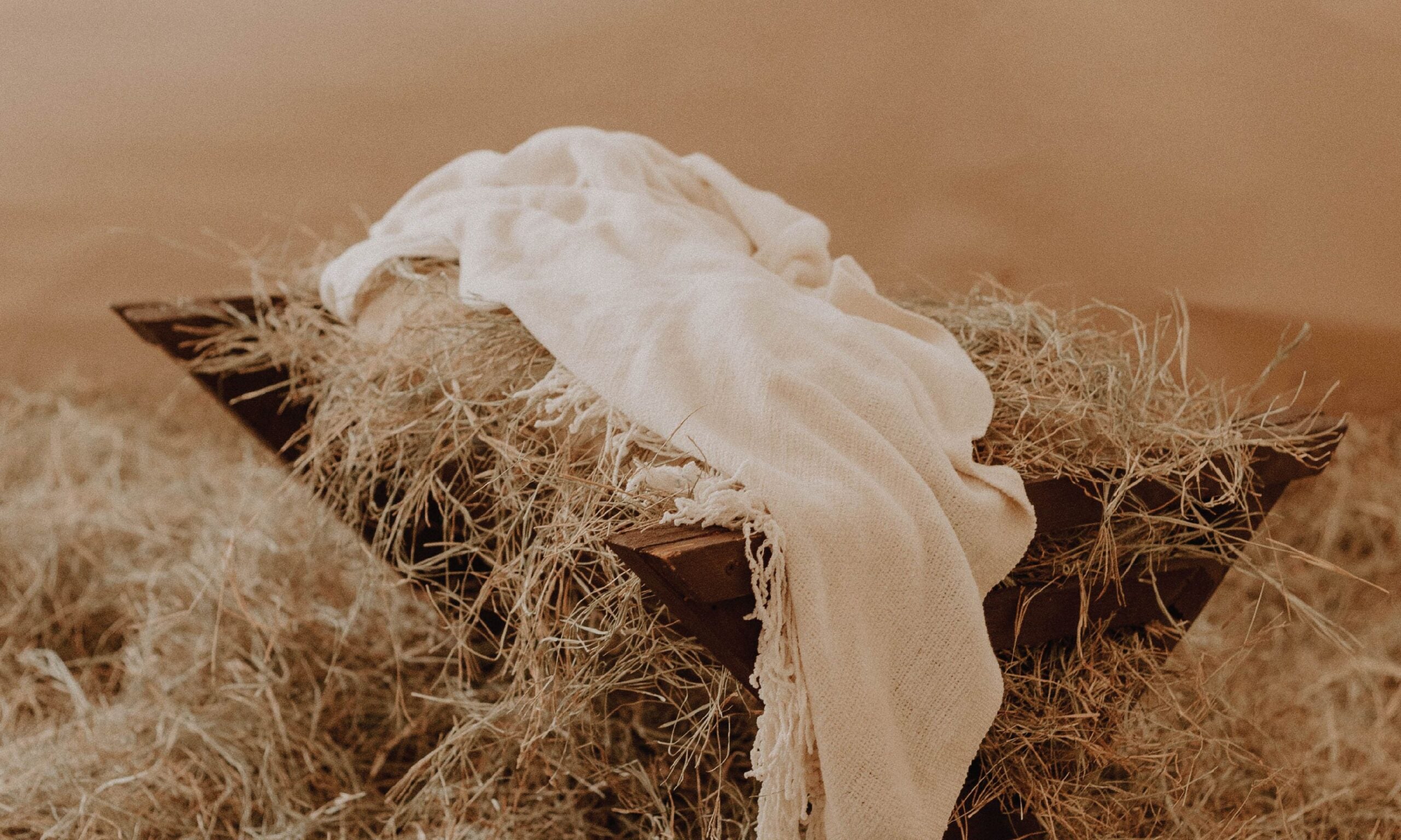 A Slow Walk to the Manger: Meditating on Scripture this Christmas Seas ...