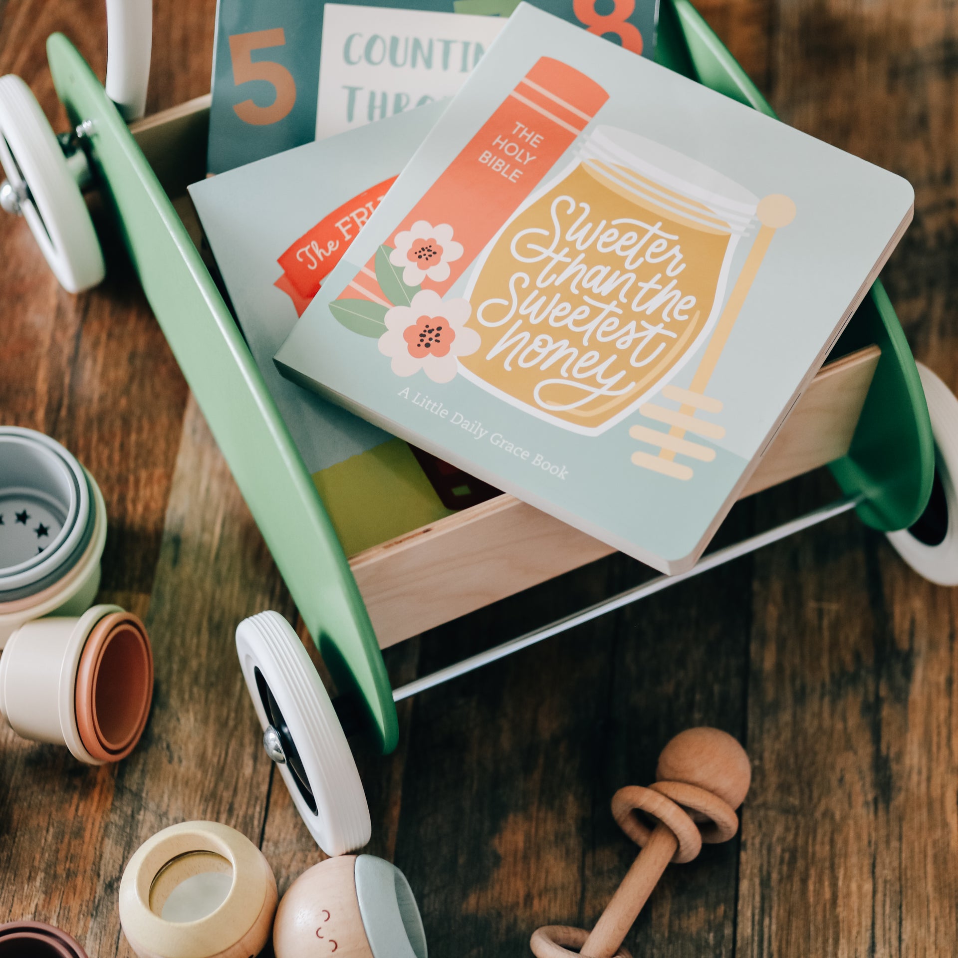 Christ in All of Scripture | Volume 1 | TDGC – The Daily Grace Co.