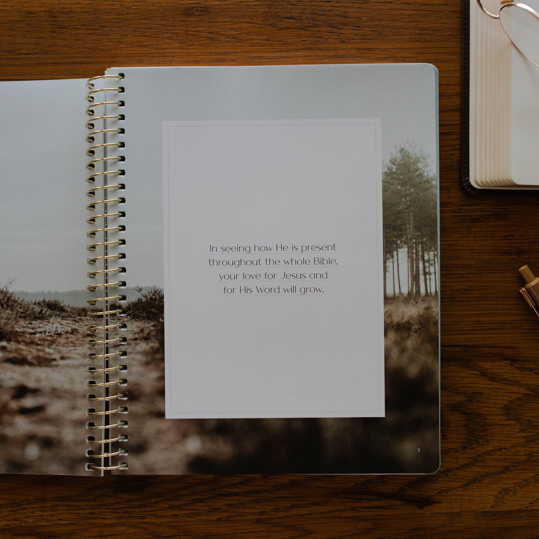 Christ in All of Scripture | Volume 3 | TDGC – The Daily Grace Co.