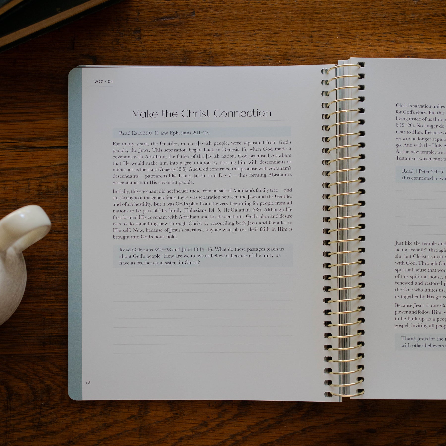 Christ in All of Scripture | Volume 3 | TDGC – The Daily Grace Co.