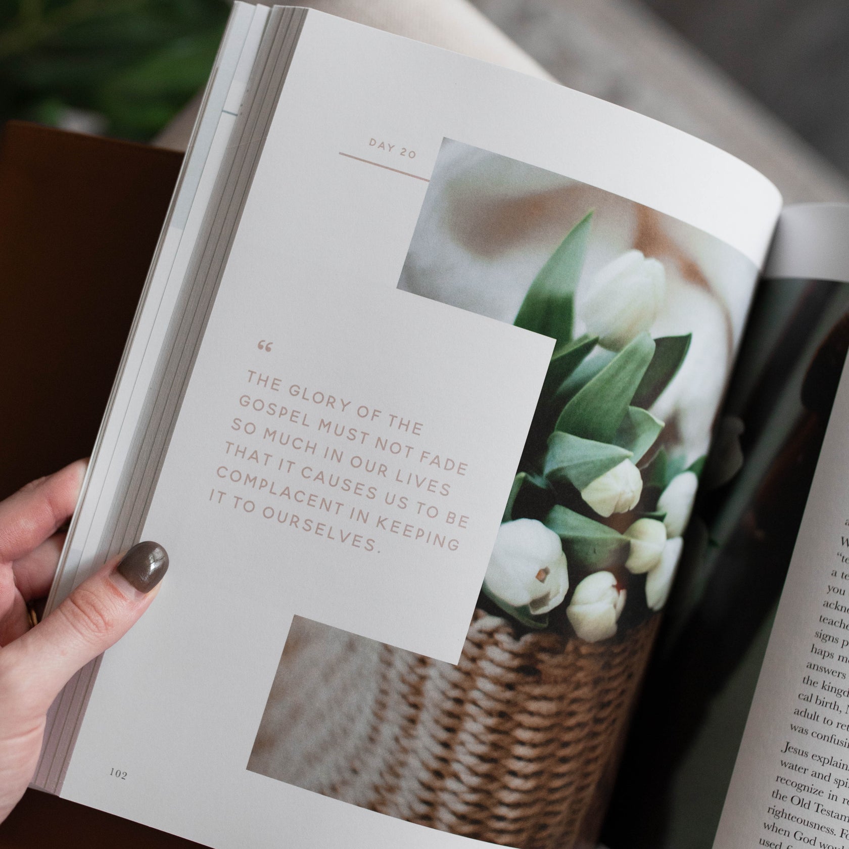 40 Days with Jesus | A Study on the Life of Christ | Matte Paper | TDGC ...