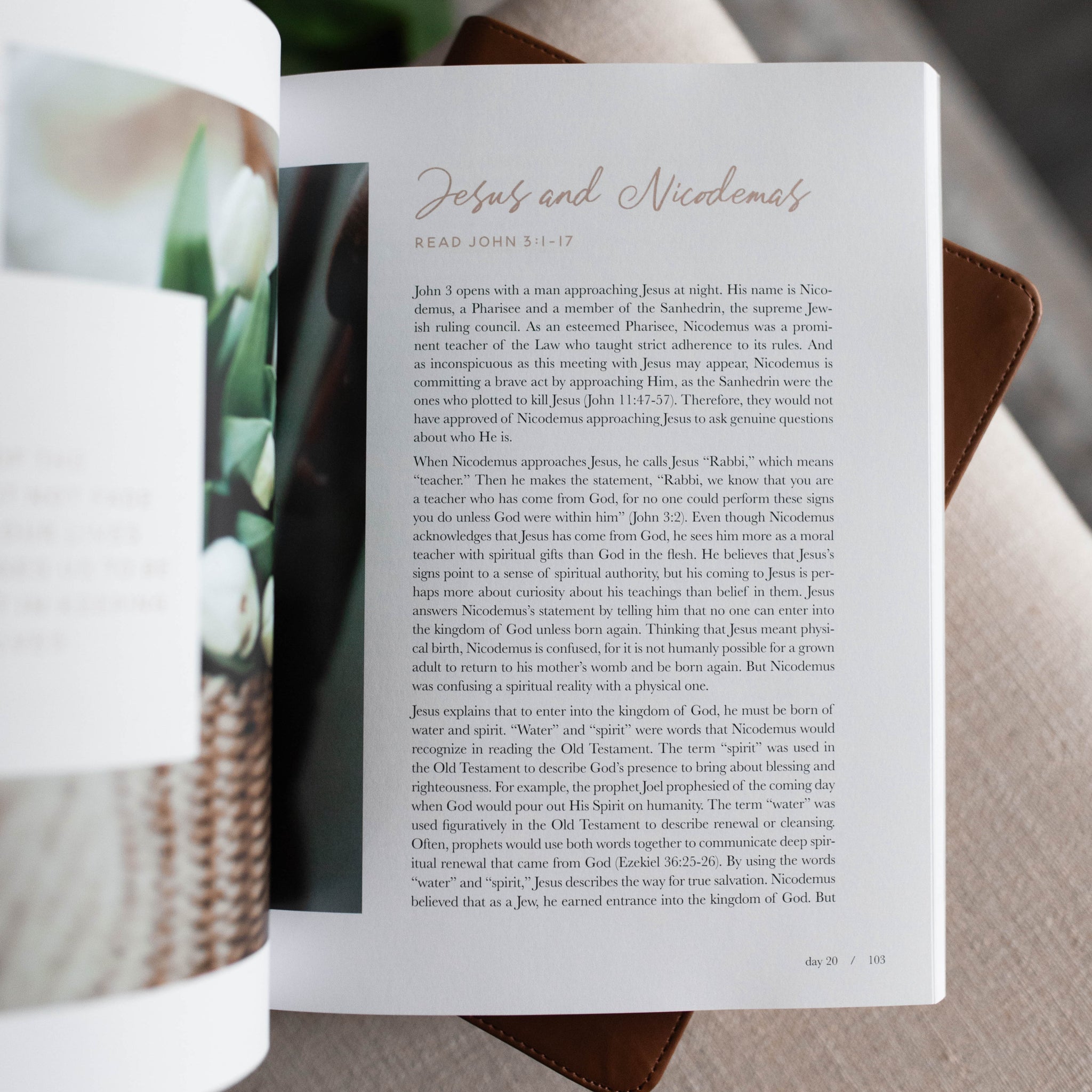 40 Days with Jesus | A Study on the Life of Christ | Matte Paper | TDGC ...