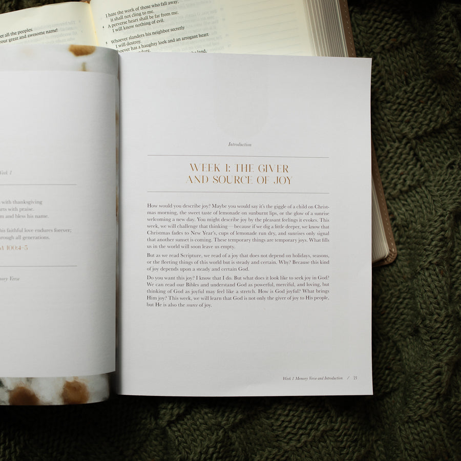 A Joy That Endures | TDGC – The Daily Grace Co.
