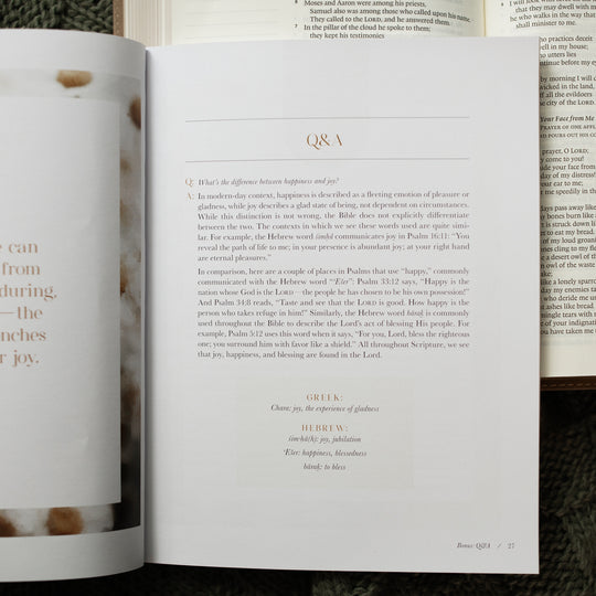 A Joy That Endures | TDGC – The Daily Grace Co.