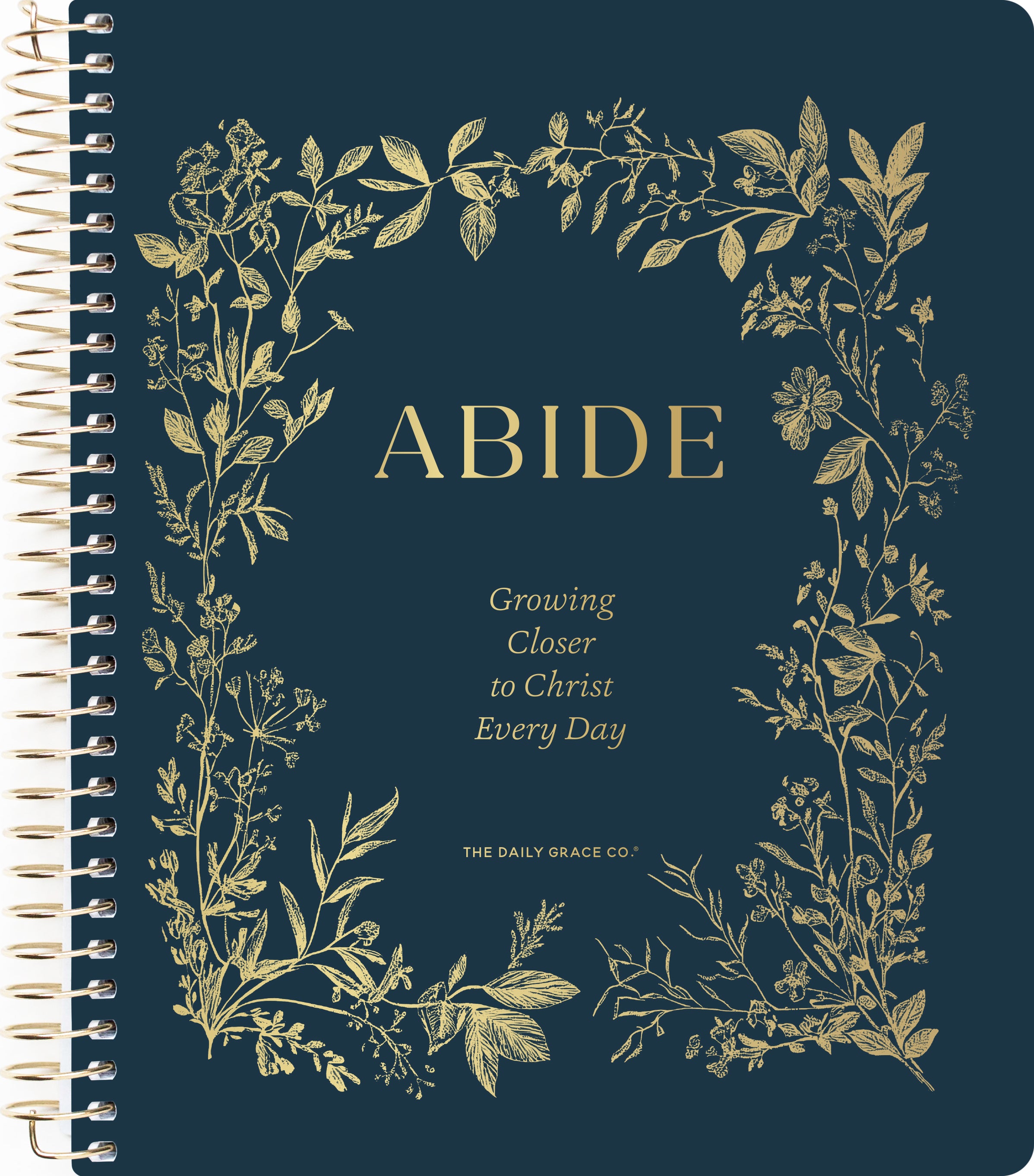 Abide Spiral Bible Study | TDGC – The Daily Grace Co.