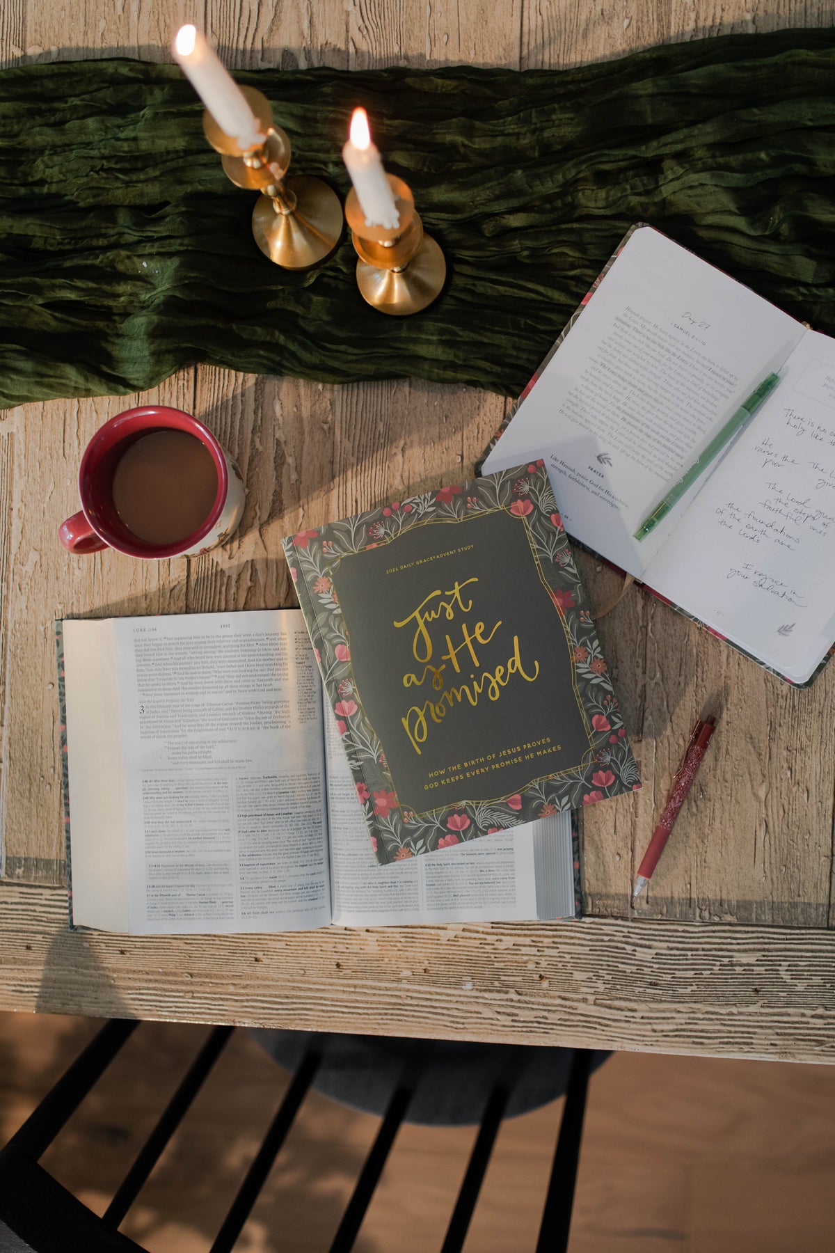 Equipping Disciples in the Word – The Daily Grace Co.