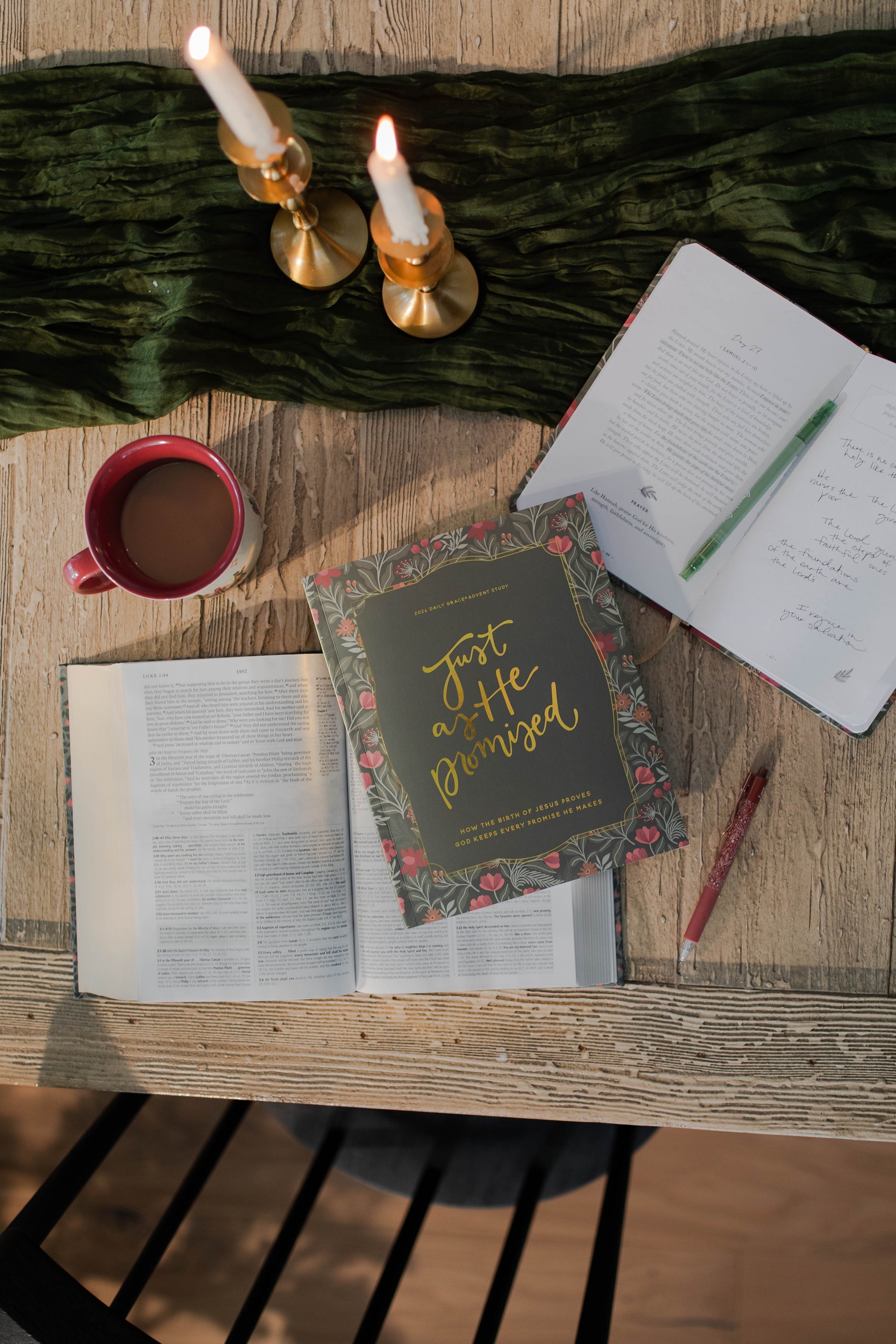 Equipping Disciples in the Word – The Daily Grace Co.