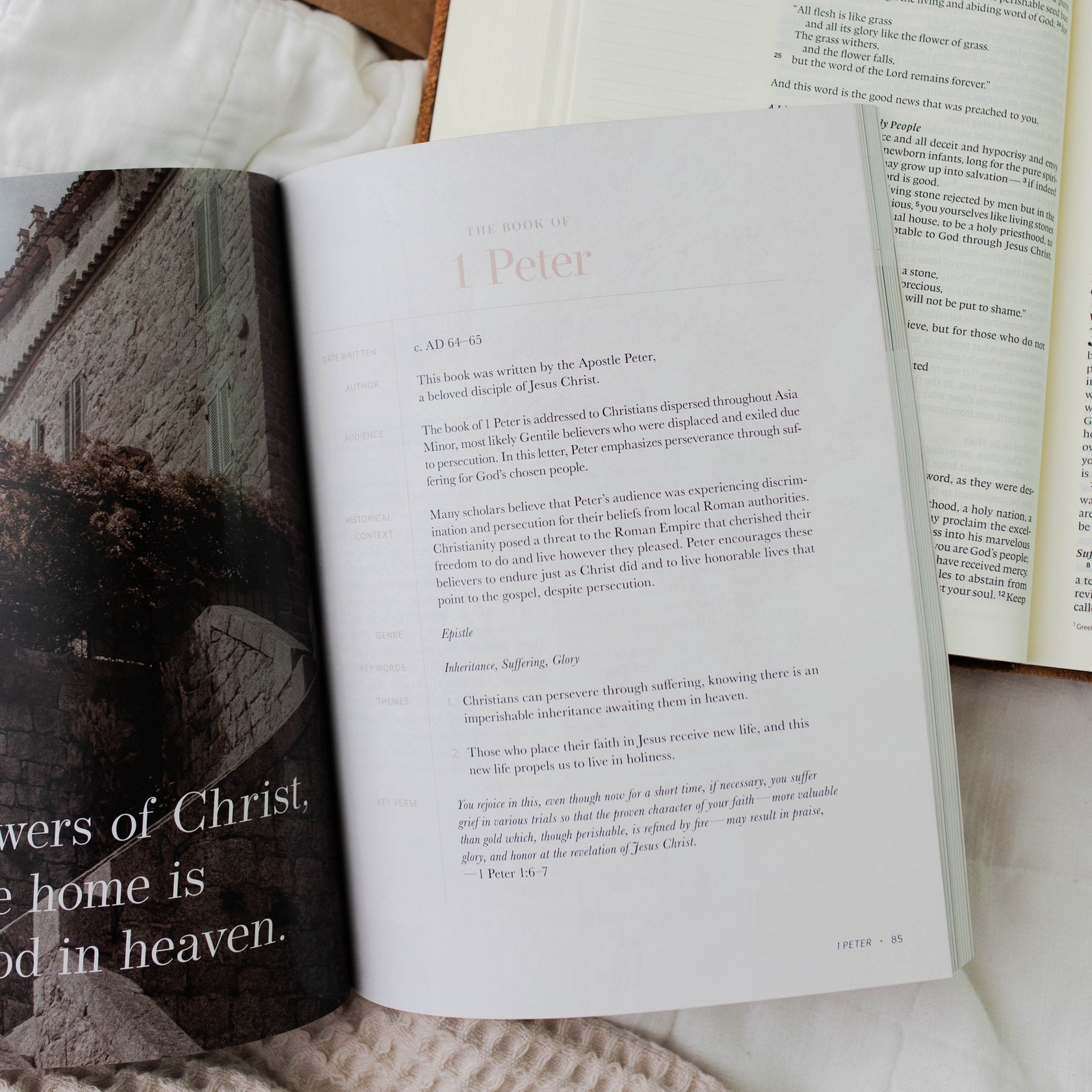 Behold: A Study of the New Testament | Volume 4 | Philemon - Revelatio ...