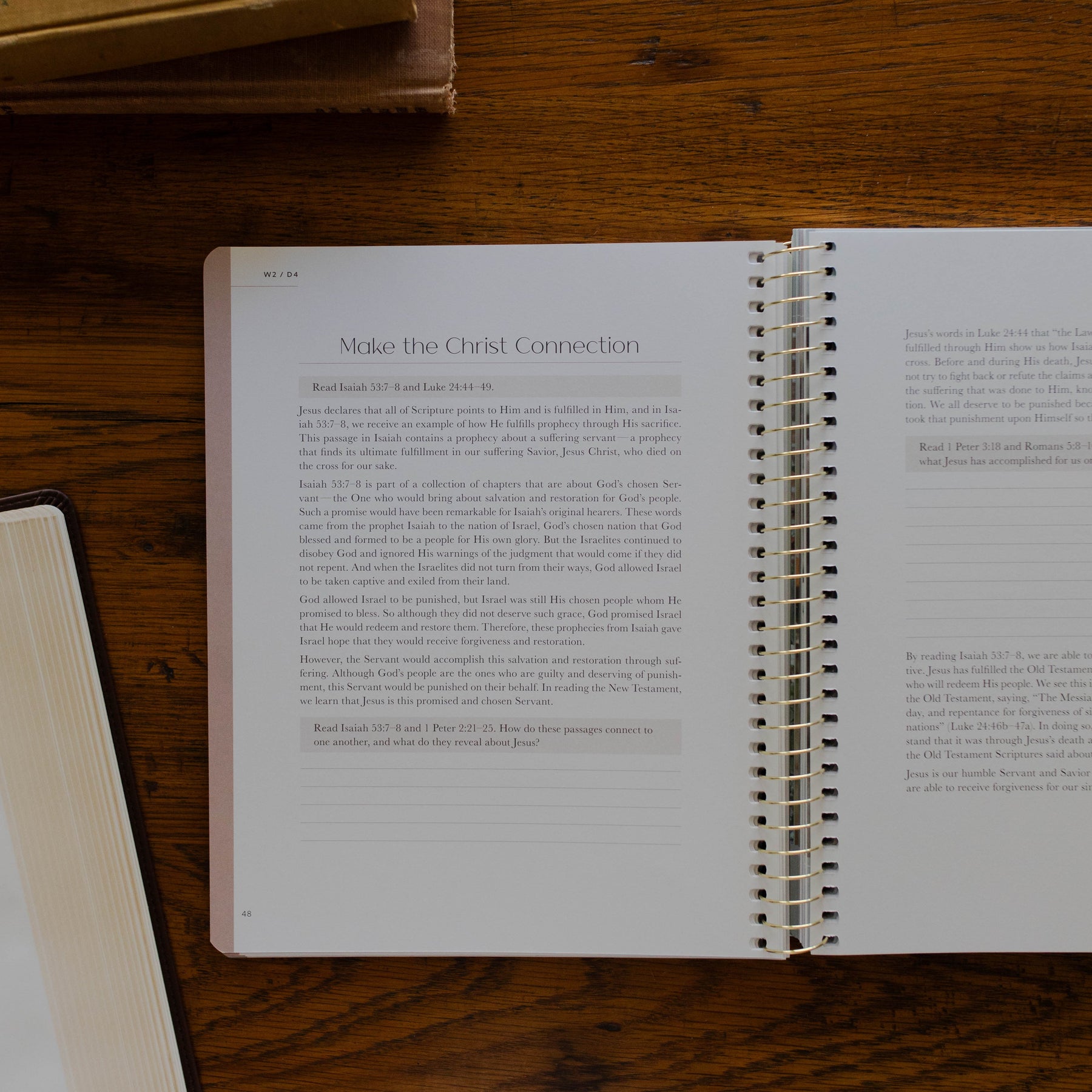 Christ in All of Scripture | Volume 1 | TDGC – The Daily Grace Co.