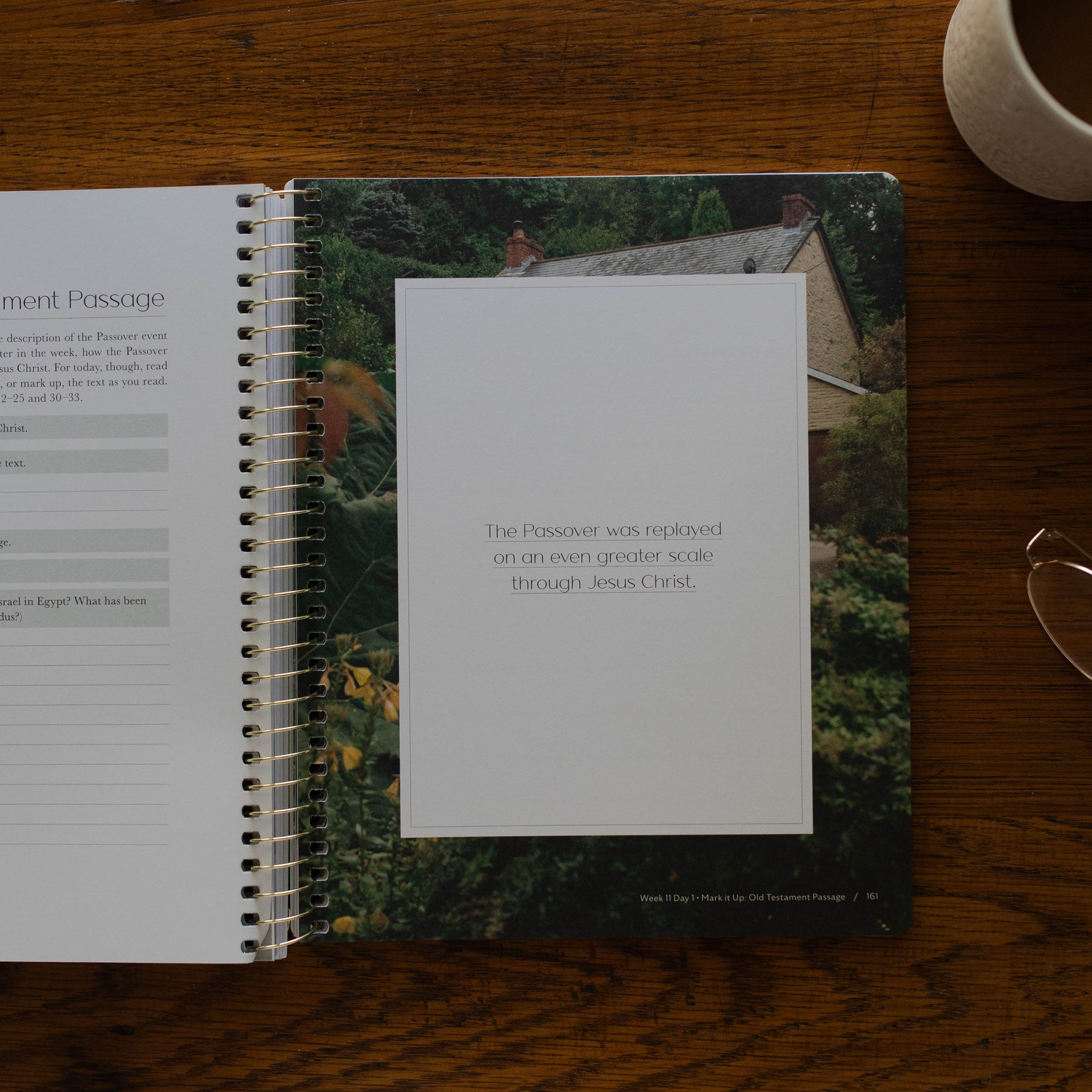 Christ in All of Scripture | Volume 1 | TDGC – The Daily Grace Co.