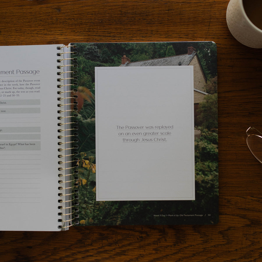 Christ in All of Scripture | Volume 1 | TDGC – The Daily Grace Co.