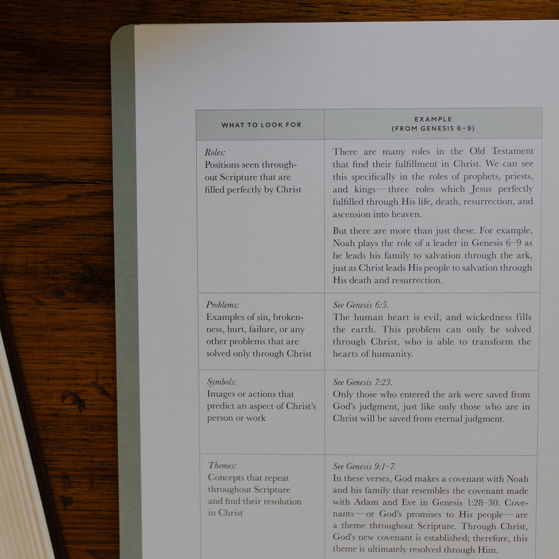 Christ in All of Scripture - 4 Volume Set | TDGC – The Daily Grace Co.