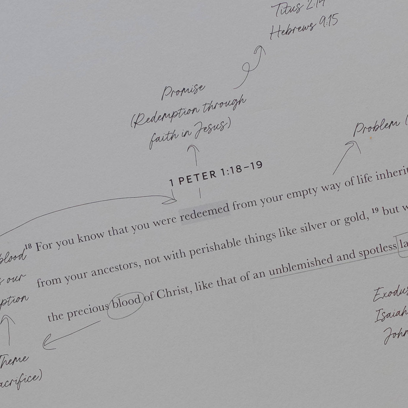 Christ in All of Scripture - 4 Volume Set | TDGC – The Daily Grace Co.