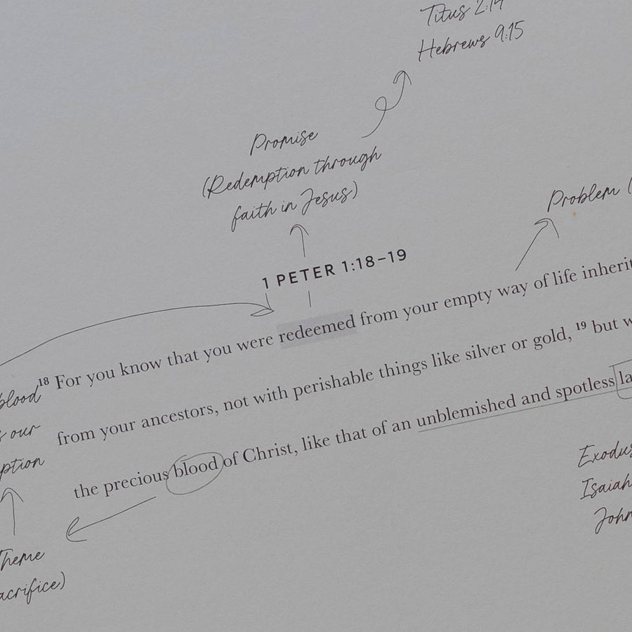 Christ in All of Scripture - 4 Volume Set | TDGC – The Daily Grace Co.