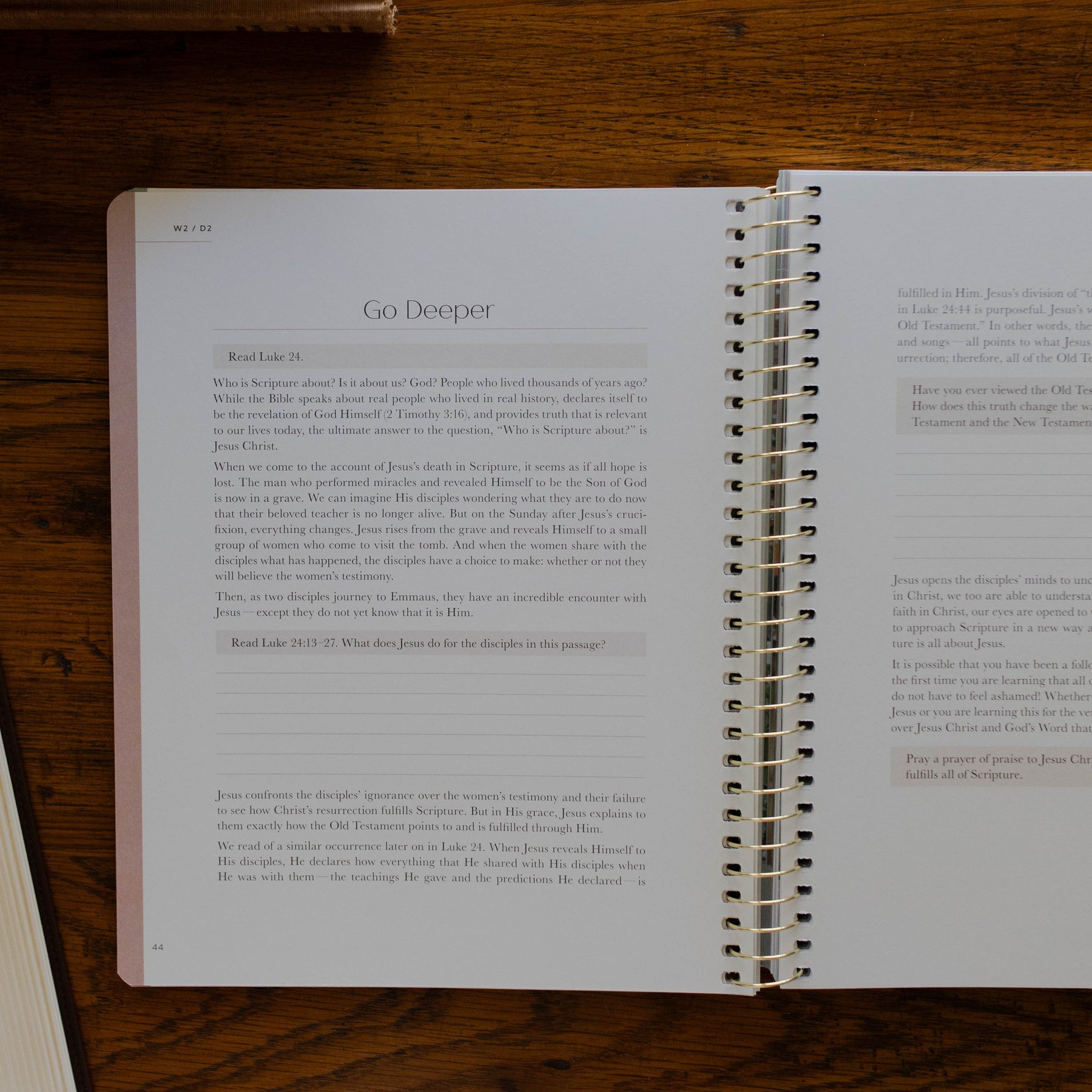 Christ in All of Scripture | Volume 1 | TDGC – The Daily Grace Co.