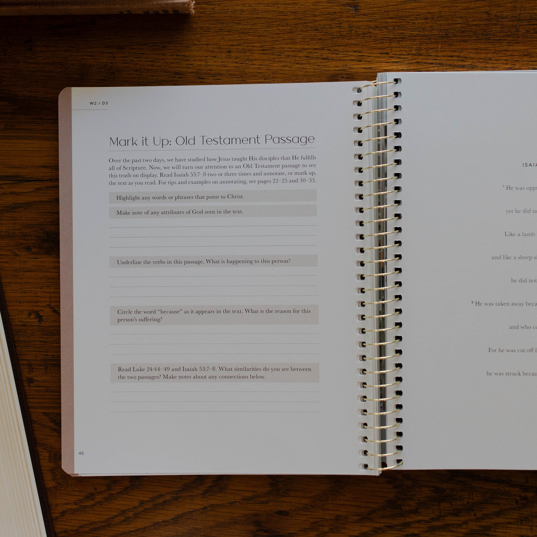 Christ in All of Scripture | Volume 1 | TDGC – The Daily Grace Co.