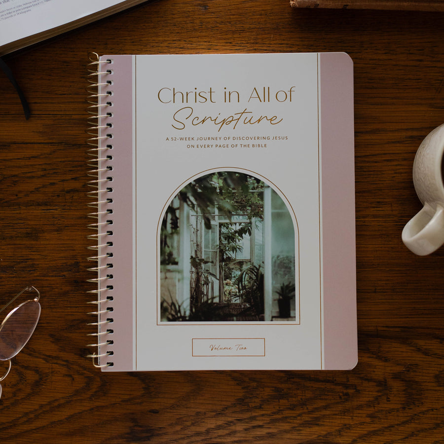 Christ in All of Scripture - 4 Volume Set | TDGC – The Daily Grace Co.