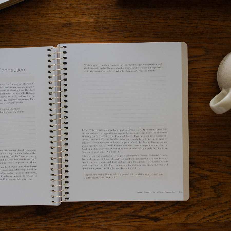 Christ in All of Scripture | Volume 2 | TDGC – The Daily Grace Co.