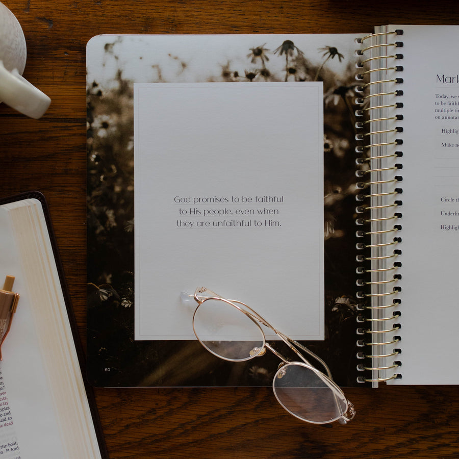 Christ in All of Scripture - 4 Volume Set | TDGC – The Daily Grace Co.