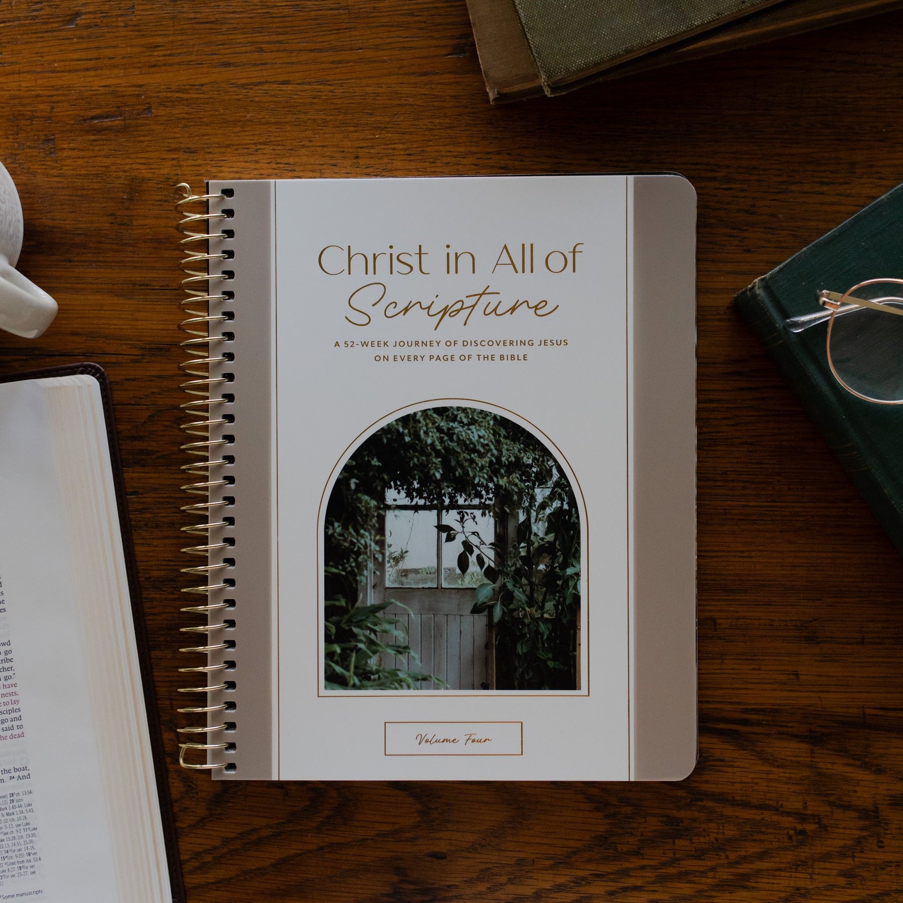Christ in All of Scripture - 4 Volume Set | TDGC – The Daily Grace Co.