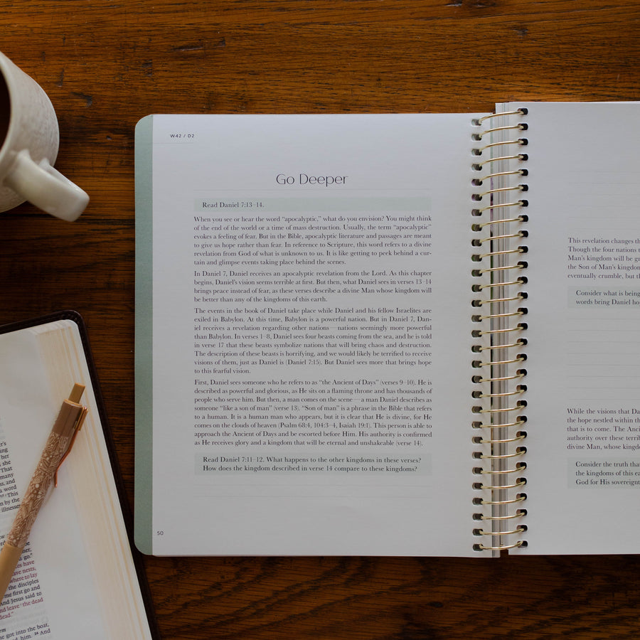 Christ in All of Scripture | Volume 4 | TDGC – The Daily Grace Co.