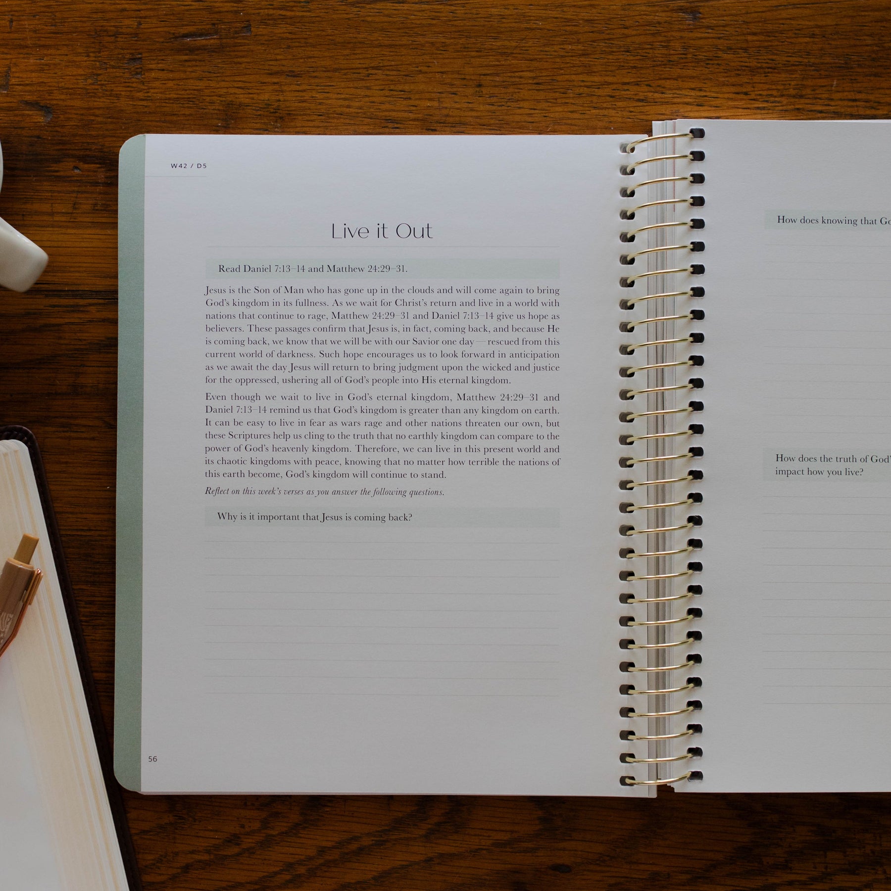 Christ in All of Scripture - 4 Volume Set | TDGC – The Daily Grace Co.