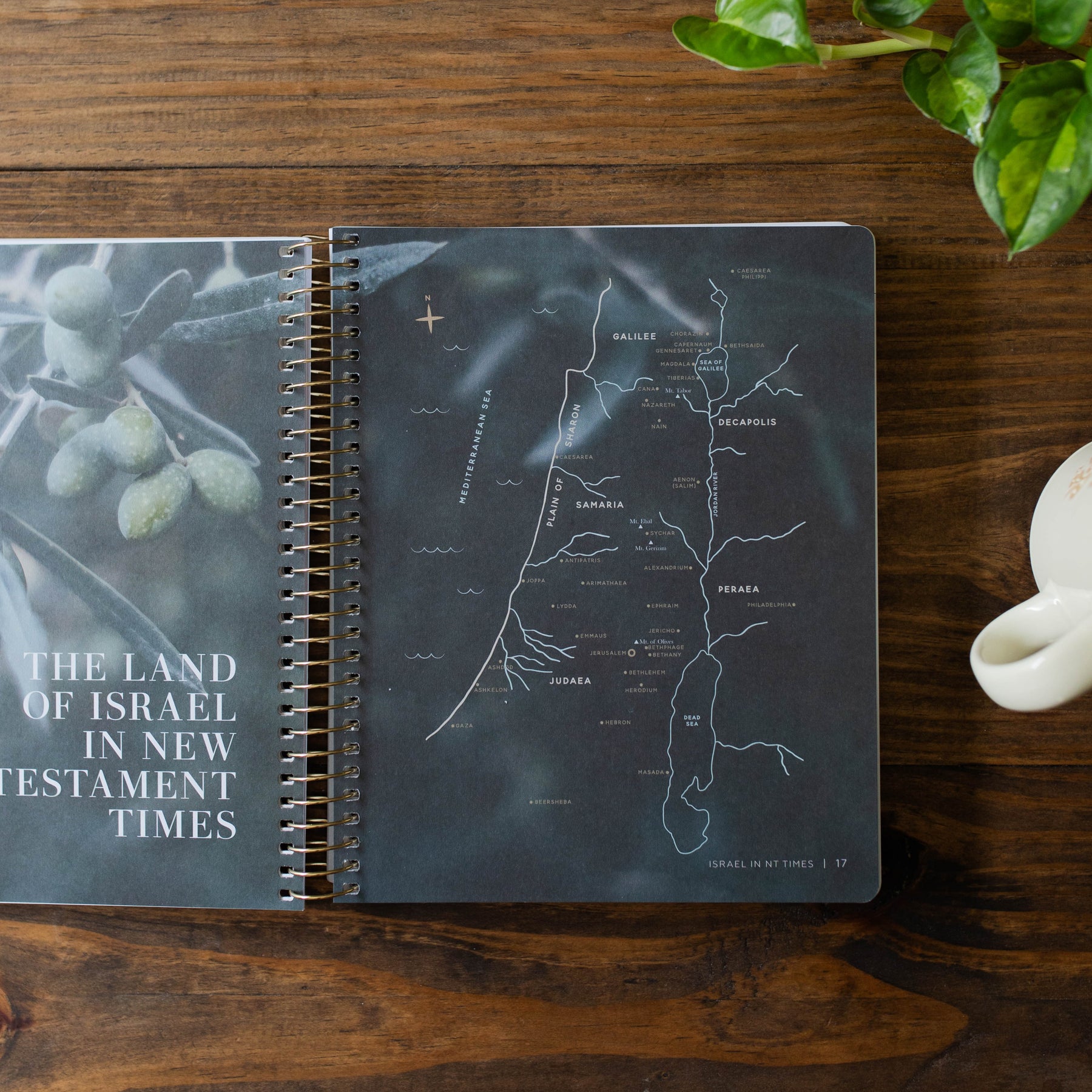 Come and See | Bible Study on John – The Daily Grace Co.