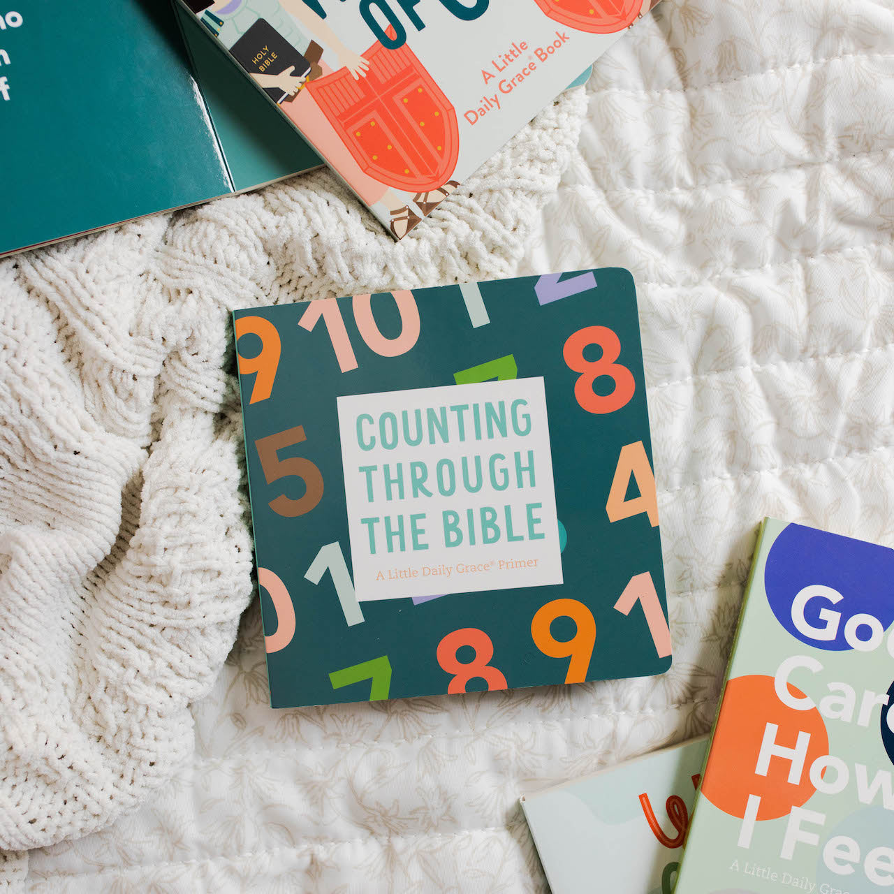 Counting Through the Bible Board Book – The Daily Grace Co.