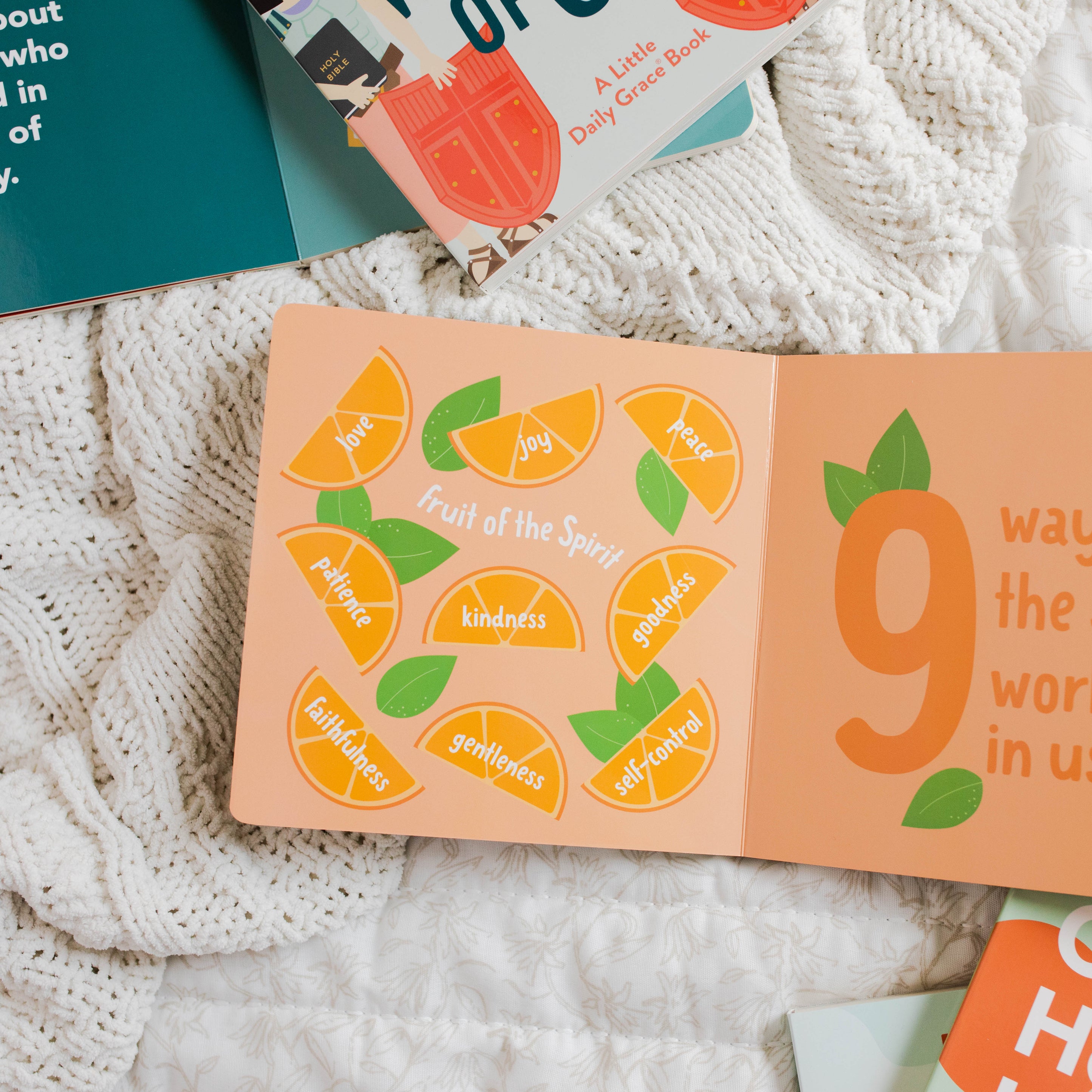 Counting Through the Bible Board Book – The Daily Grace Co.