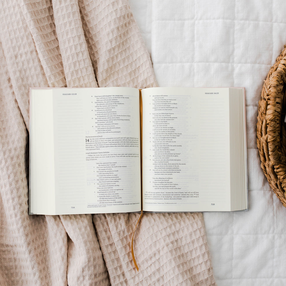 Daily Grace Co. Bible | Glory - ESV Single Column Journaling Bible ...